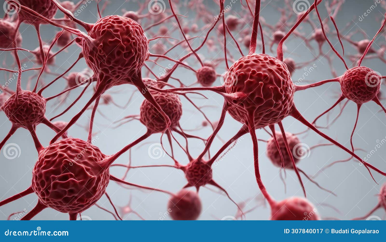 A Network of Interconnected Cells, Symbolizing Complex Biological ...