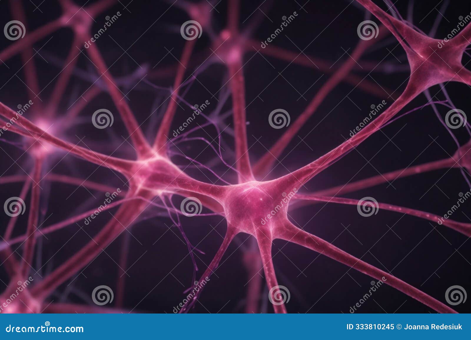 A Network of Interconnected Neuron Cells Stock Image - Image of network ...