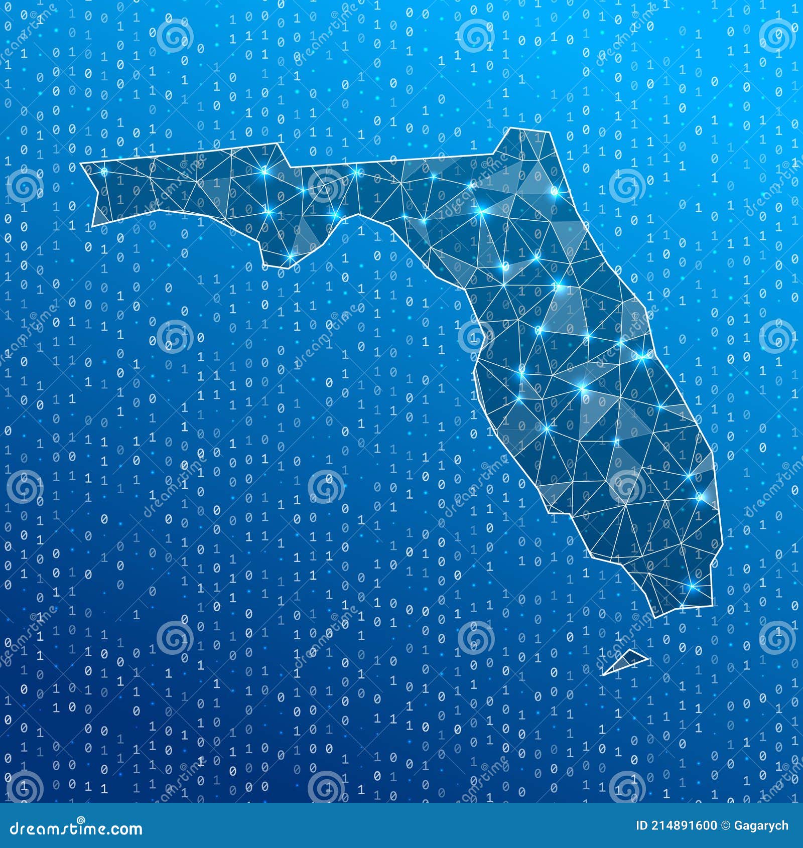 Network map of Florida. stock vector. Illustration of boundary - 214891600