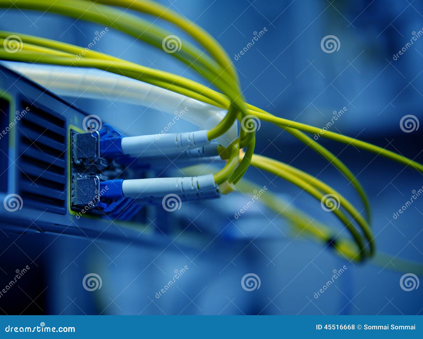 Network Optical Fiber Cables Stock Photo - Image of storage, industry ...