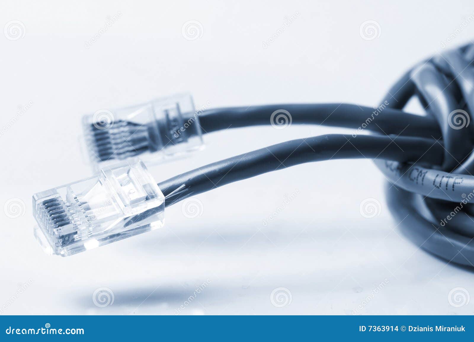 Network and patch cables stock photo. Image of electronic - 7363914