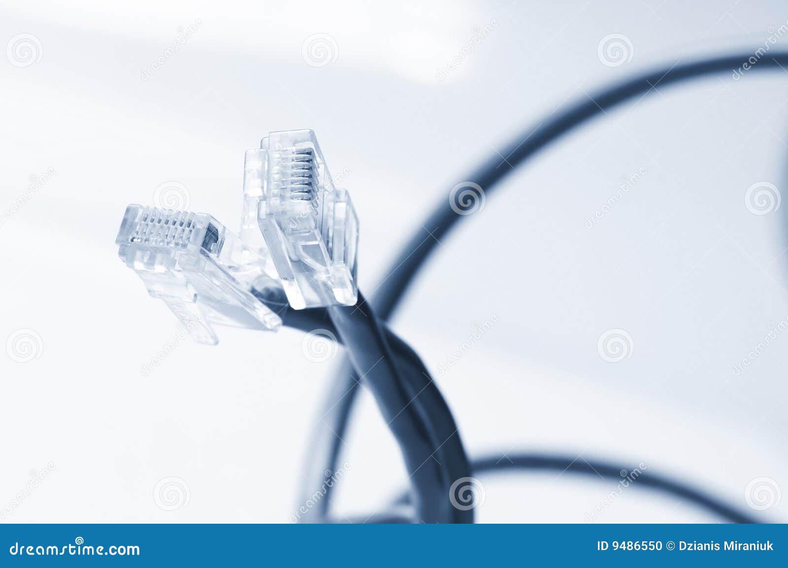Network and patch cables stock photo. Image of networking - 9486550