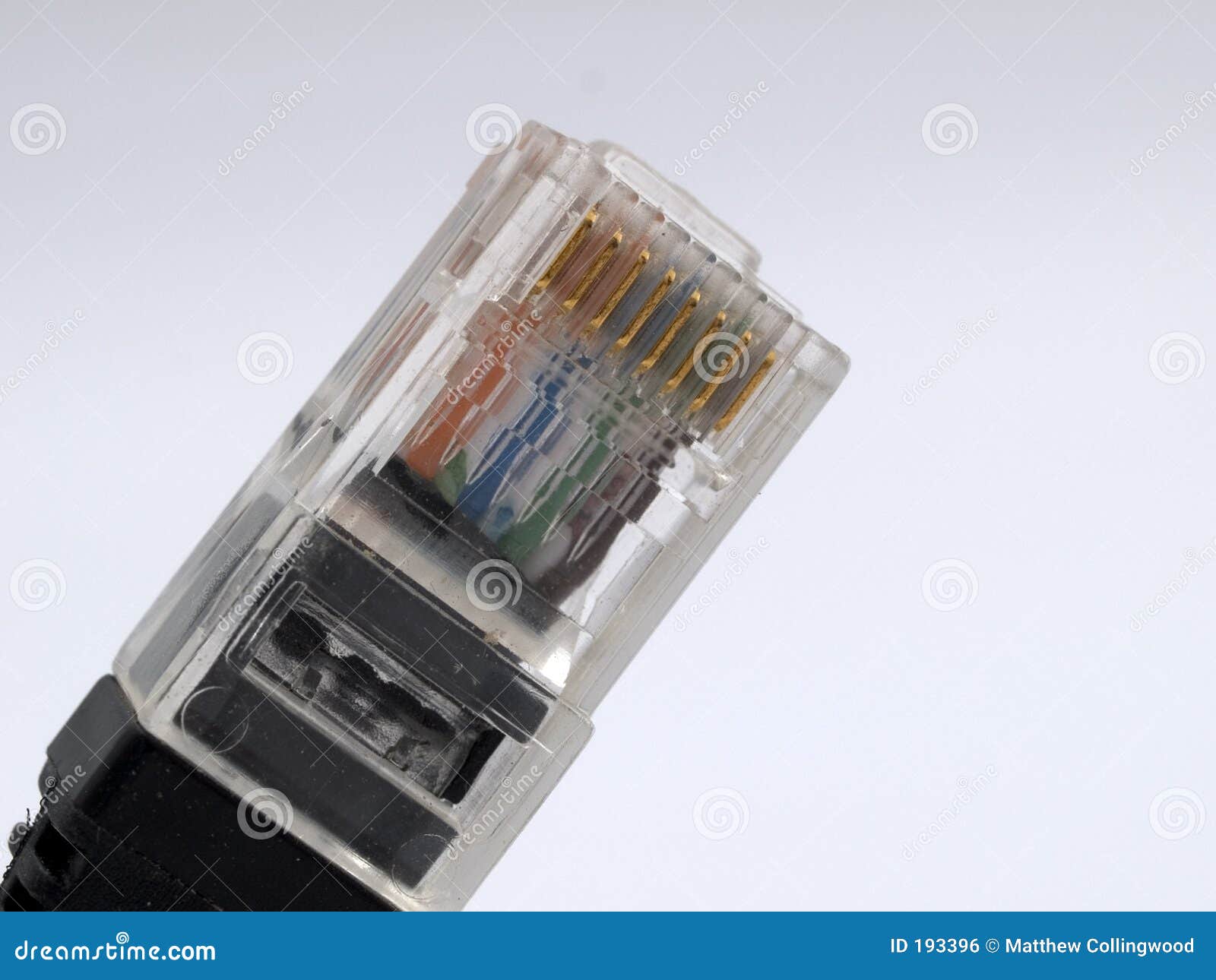 Network Plug stock photo. Image of wire, connect, data - 193396