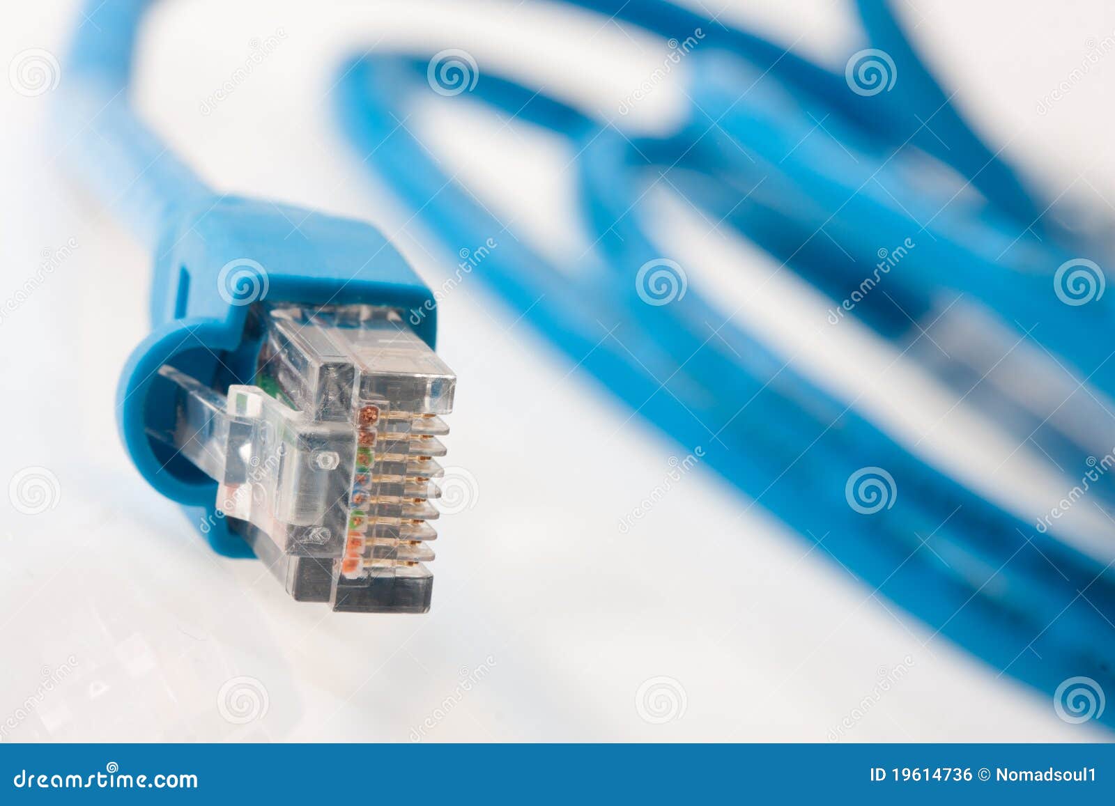 Network plug stock photo. Image of link, color, internet - 19614736