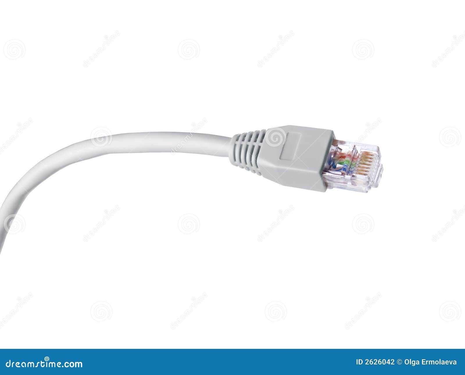 Network plug stock photo. Image of broadband, digital - 2626042