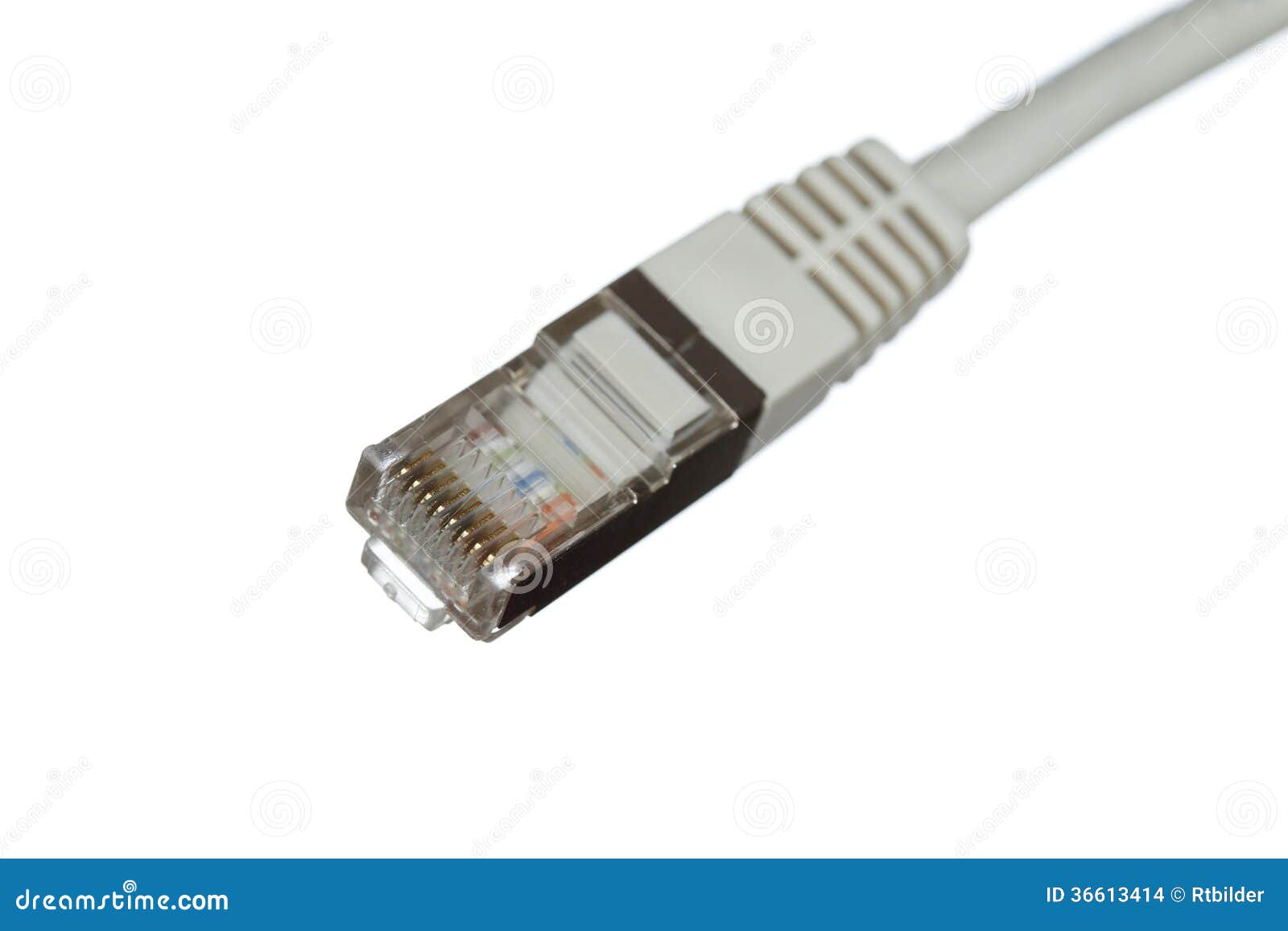 Network plug stock photo. Image of computer, connection - 36613414