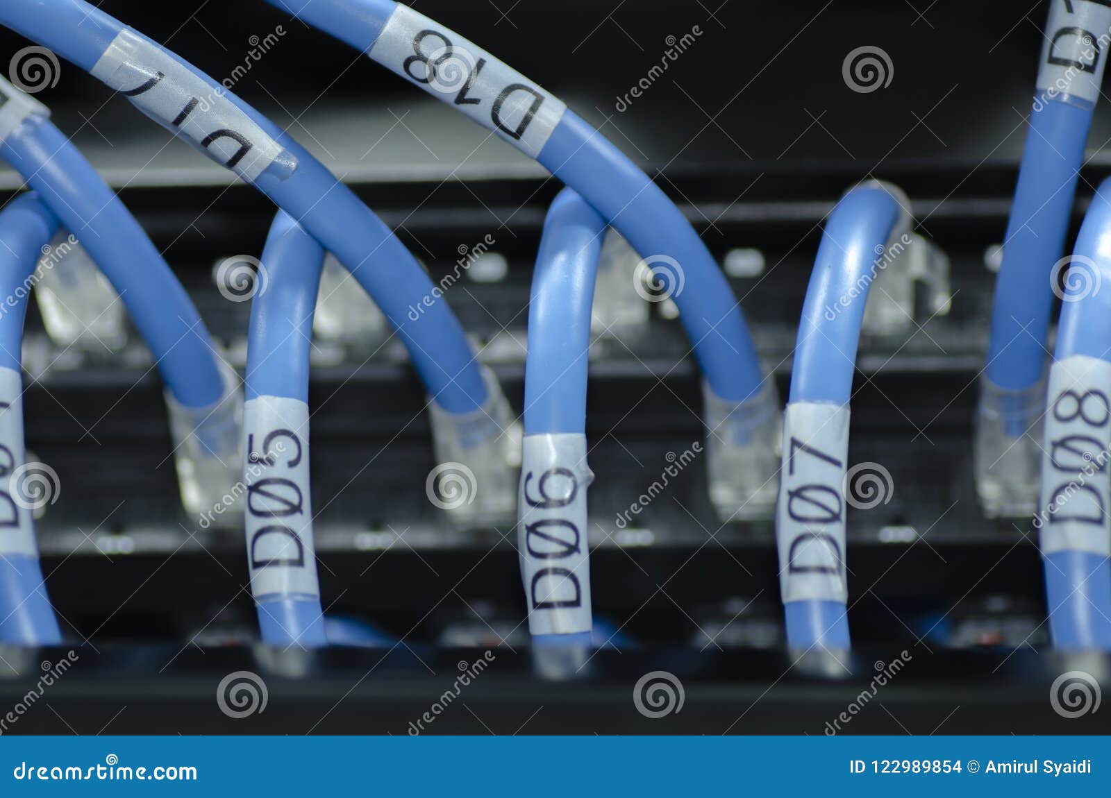 Network and Patch Cord Cable in Data Cente.selective Focus Shot Stock ...