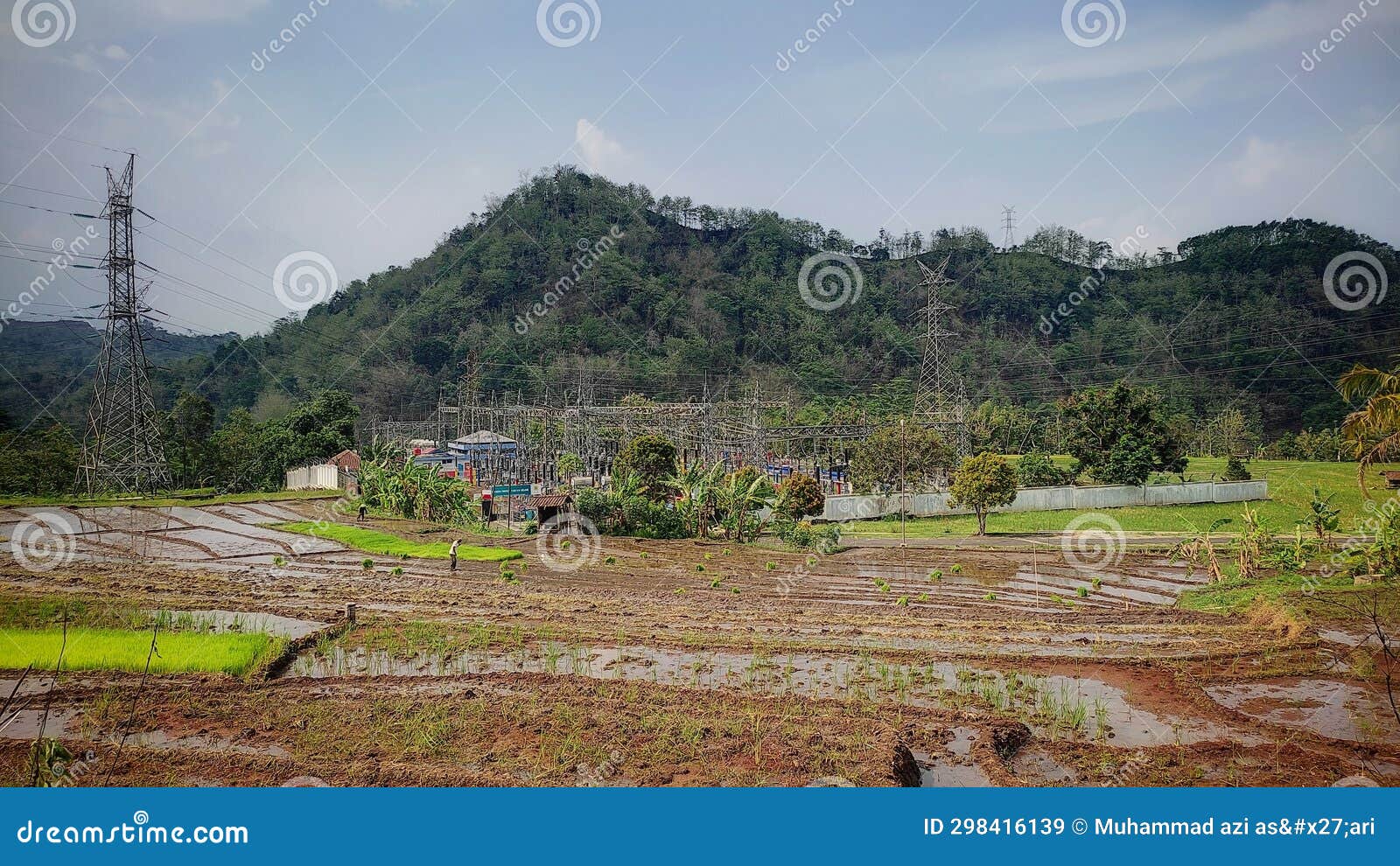 A Network of Power Plants Standing in Rice Fields Stock Image - Image ...