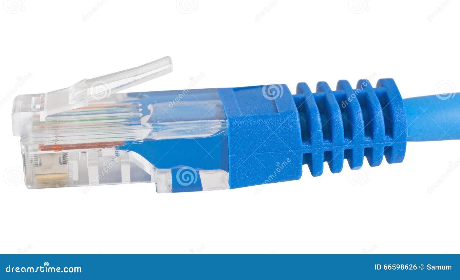A network RJ45 connector stock photo. Image of jack, connector - 66598626