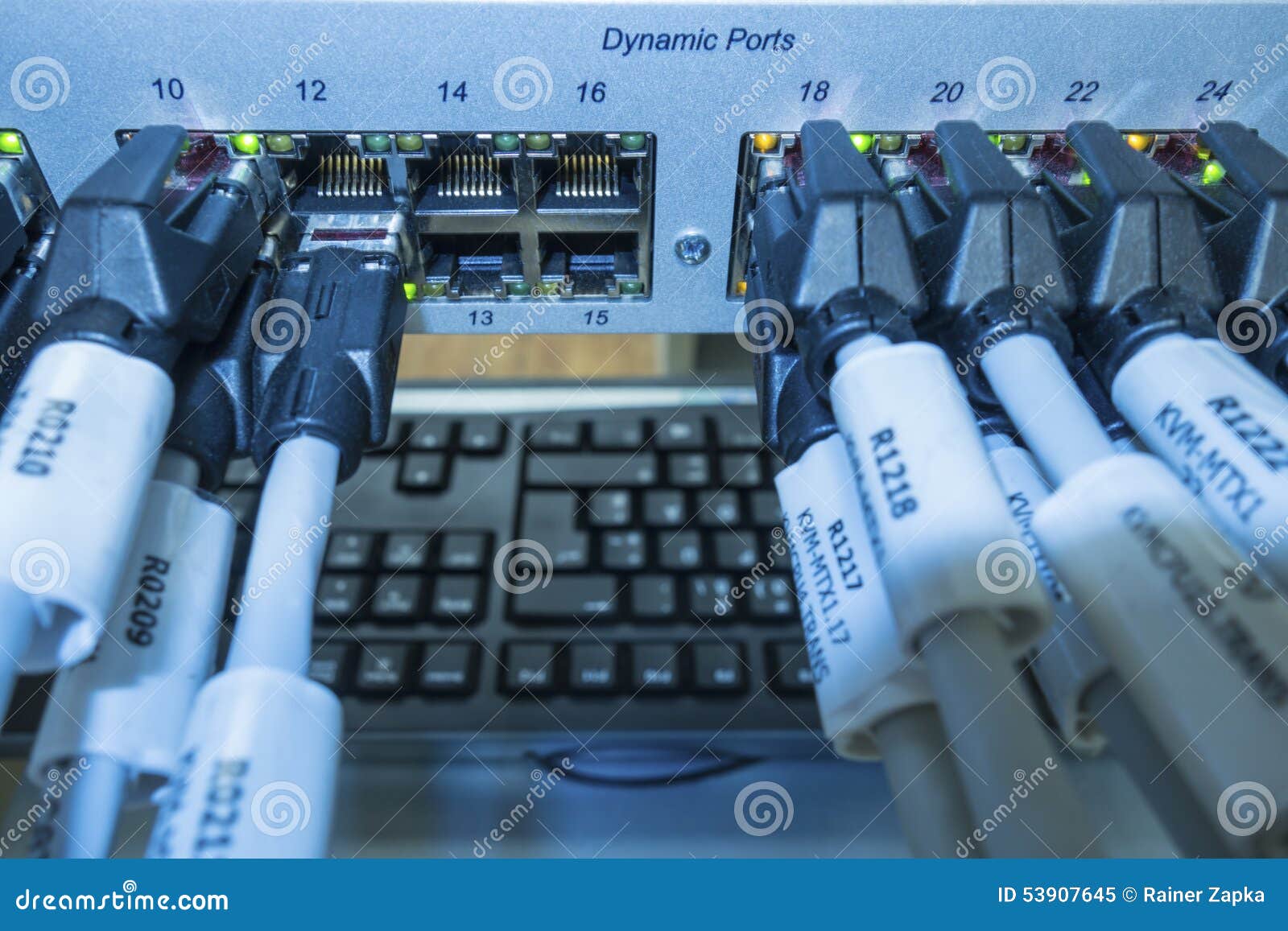 Network stock image. Image of information, space, functional - 53907645