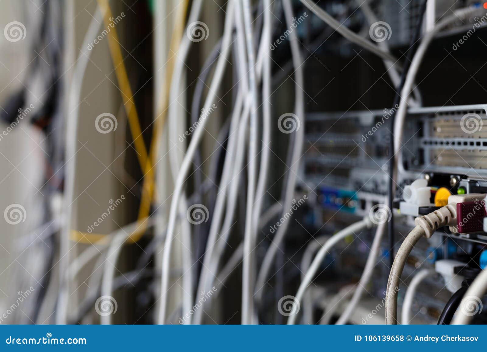 Network Server Network Cable Plug Stock Photo - Image of digital ...