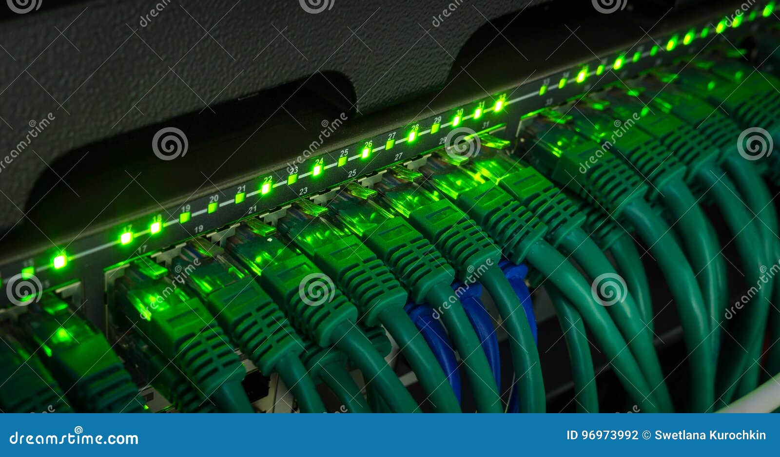 Network Server Panel, Switch and Patch Cord Cable in Data Center Stock ...