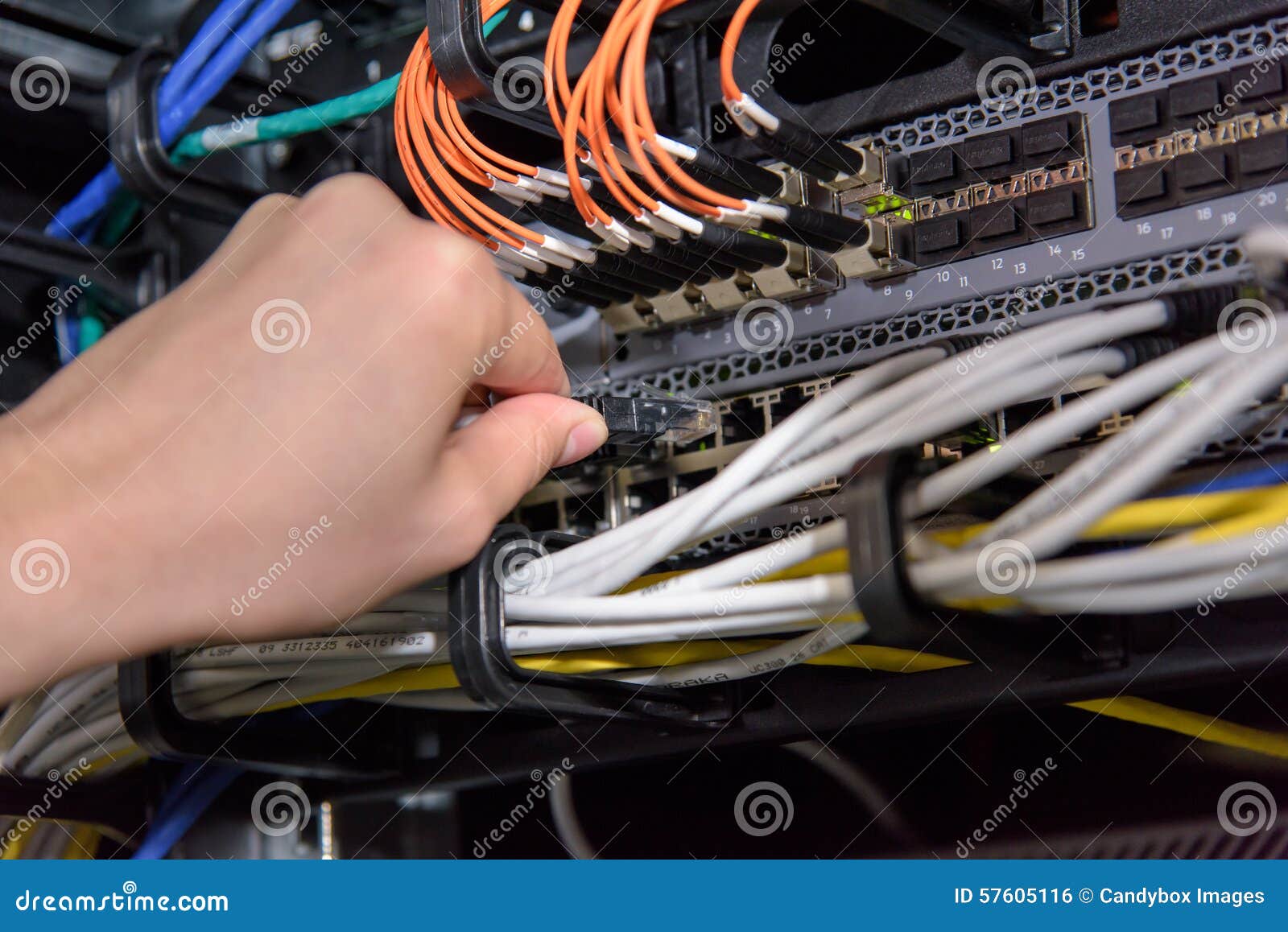 Network Server Patch Cables Stock Photo - Image of internet, engineer ...