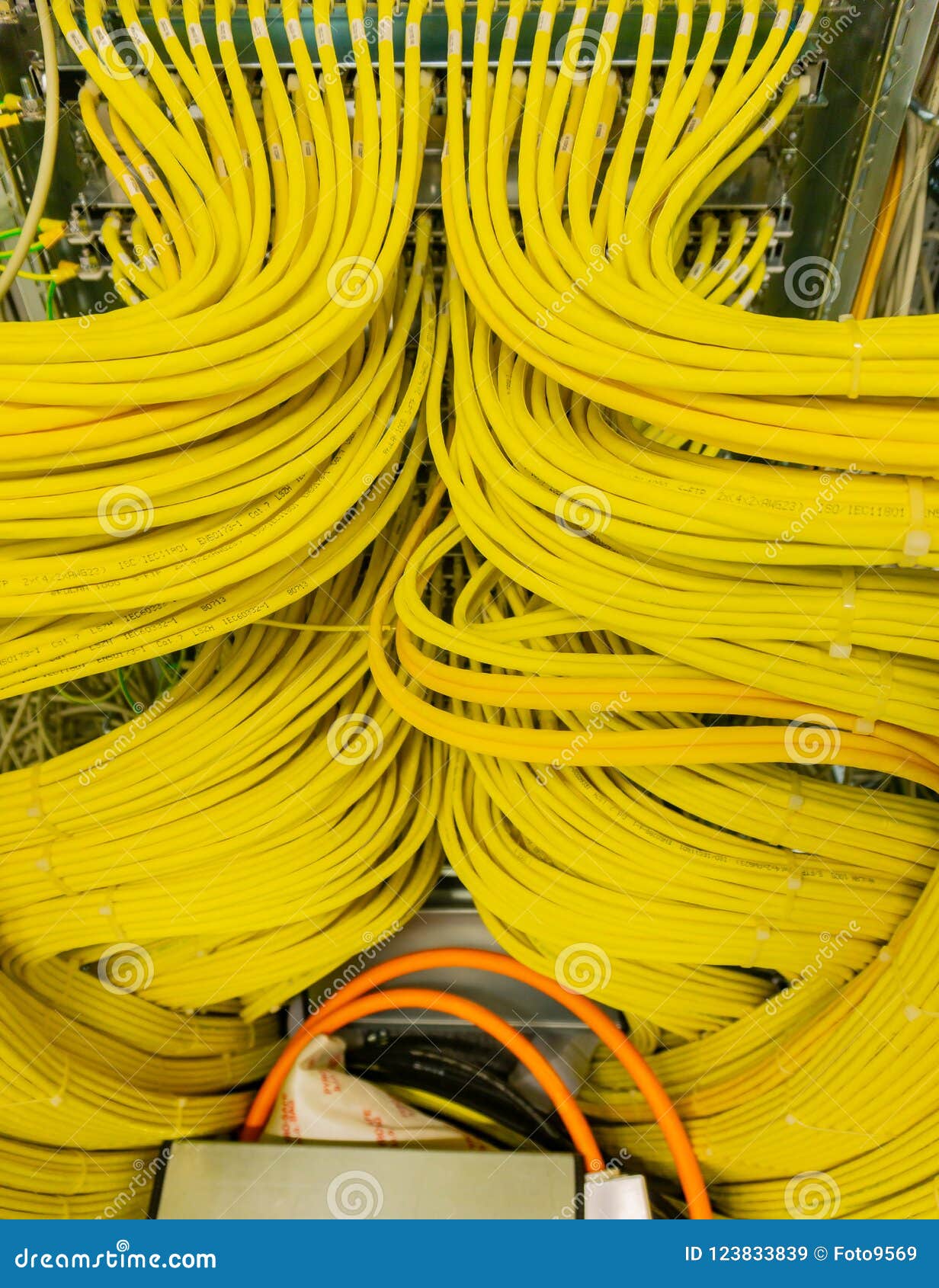 Network Switch Connections for Network Cable Stock Image - Image of ...