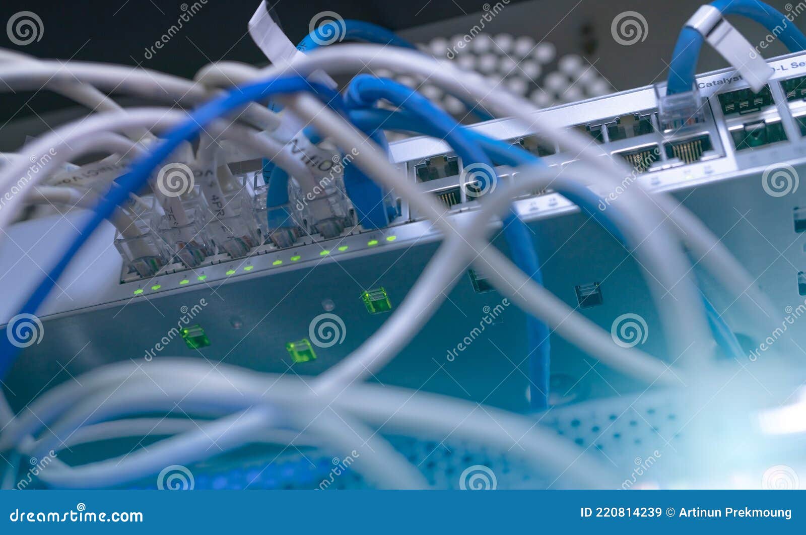 Network Switch and Ethernet Cable in Data Center. Wifi Plug of Internet Router for Computer ...
