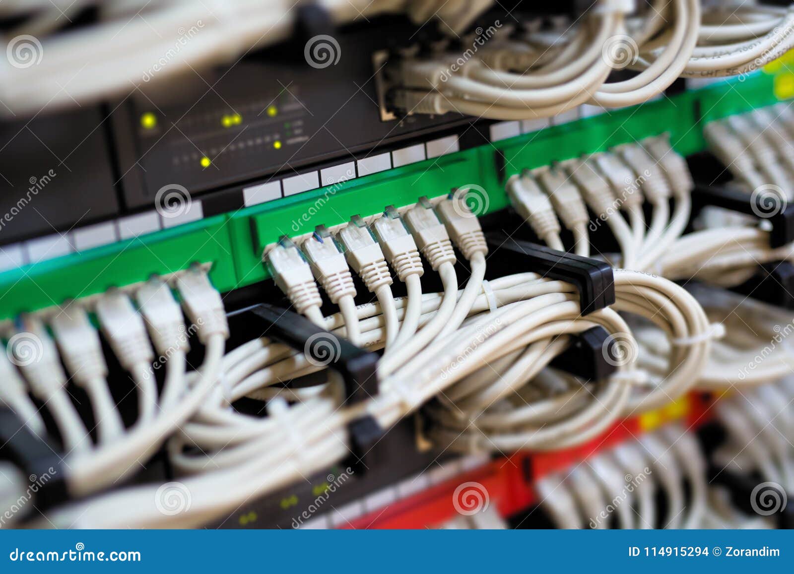 Network Switch and Ethernet Cables Connected Stock Photo - Image of ... Network Switch and Ethernet Cables Connected Stock Photo - Image of ...