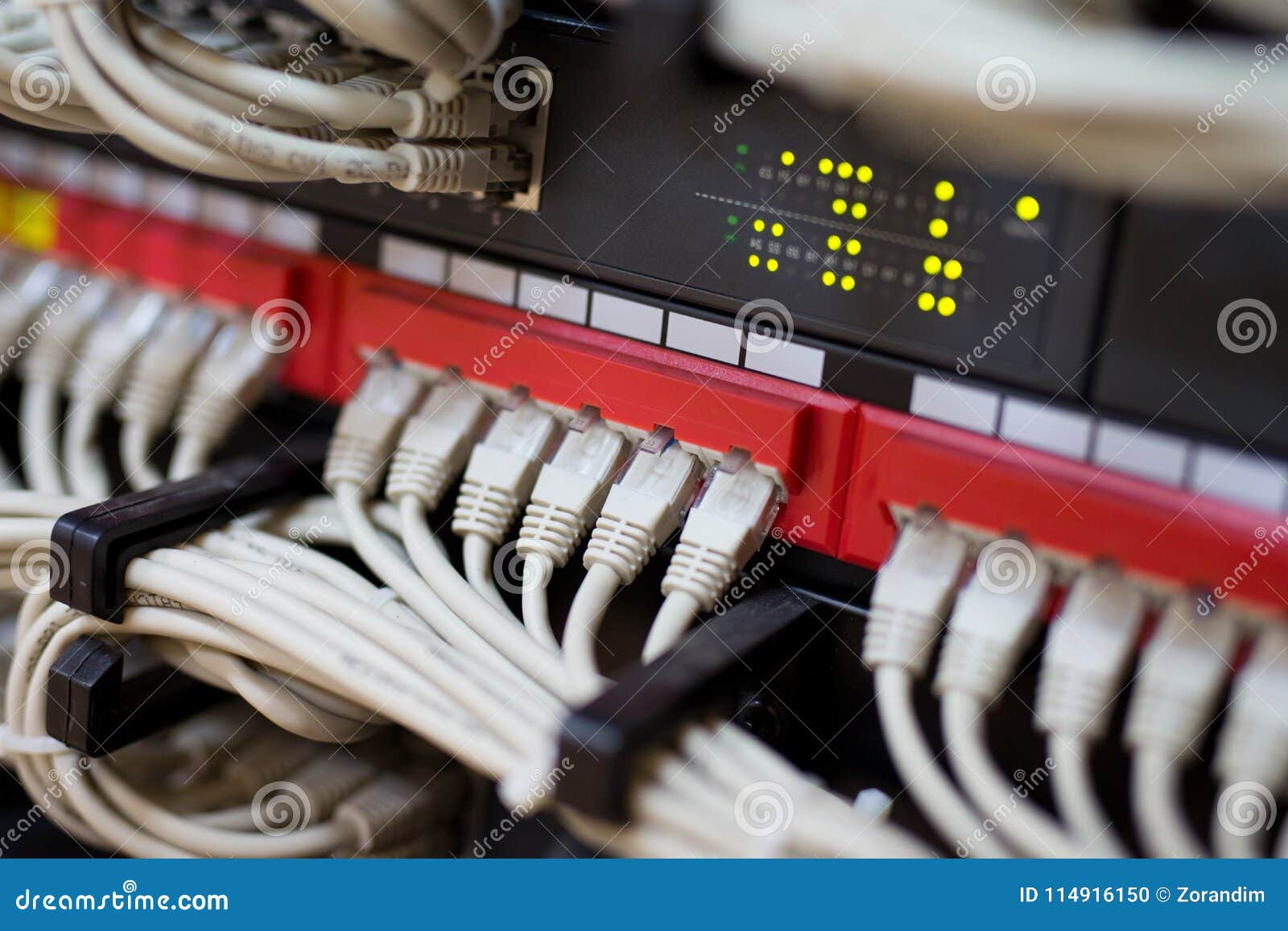 Network Switch and Ethernet Cables Connected Stock Photo - Image of ...