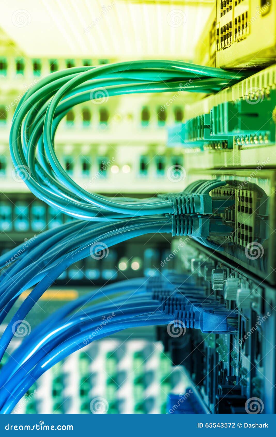 Network Switch and Ethernet Cables Stock Photo - Image of digital ...