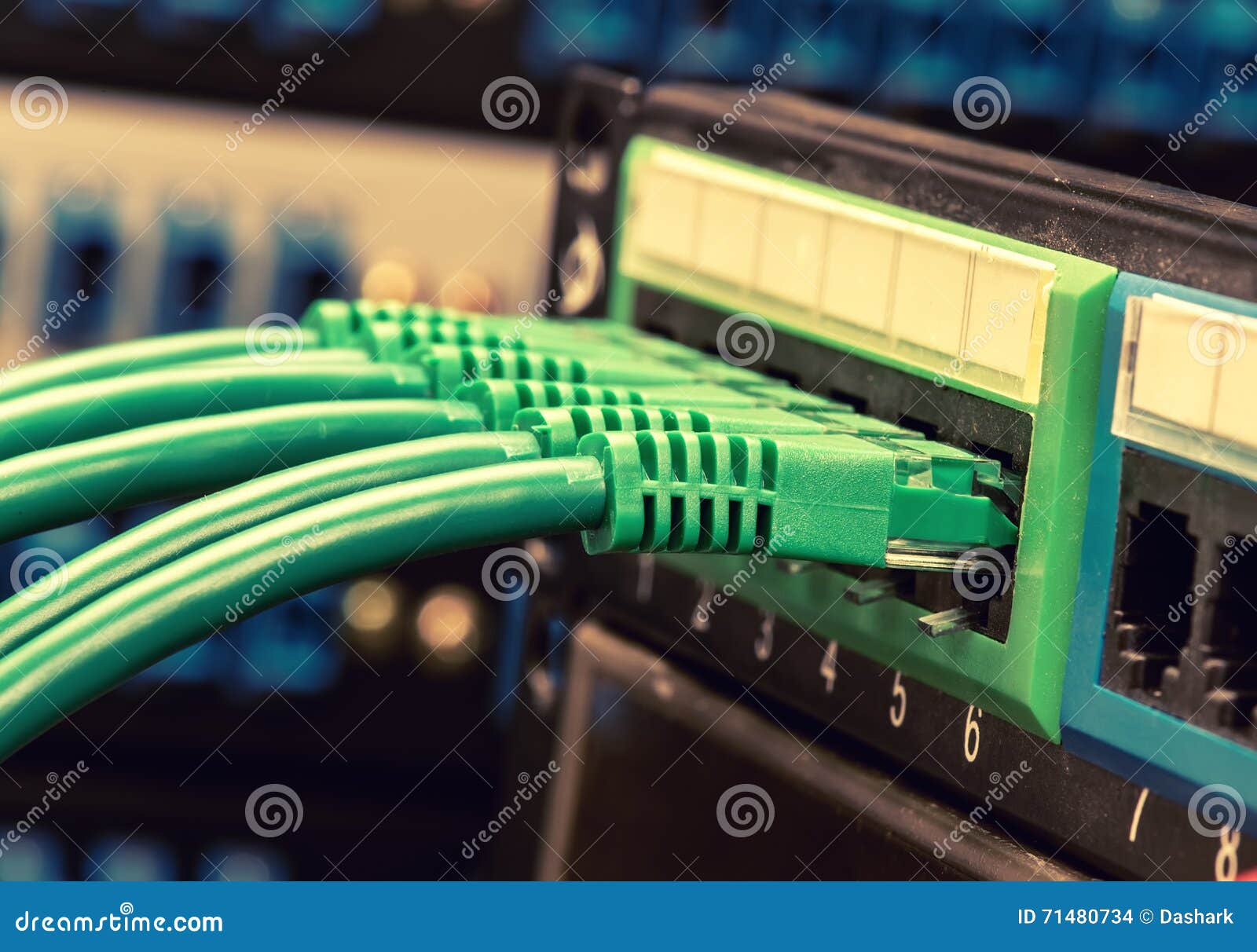 Network Switch And Ethernet Cables Royalty-Free Stock Image ...