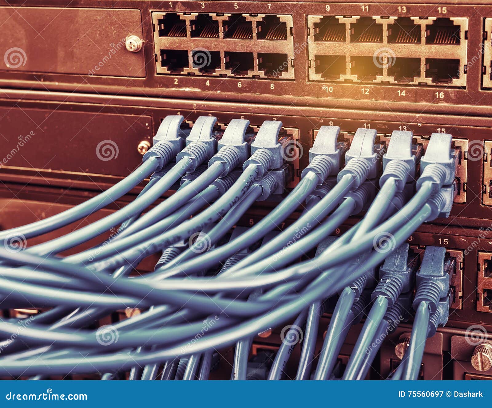 Network Switch and Ethernet Cables Stock Image - Image of networking ...