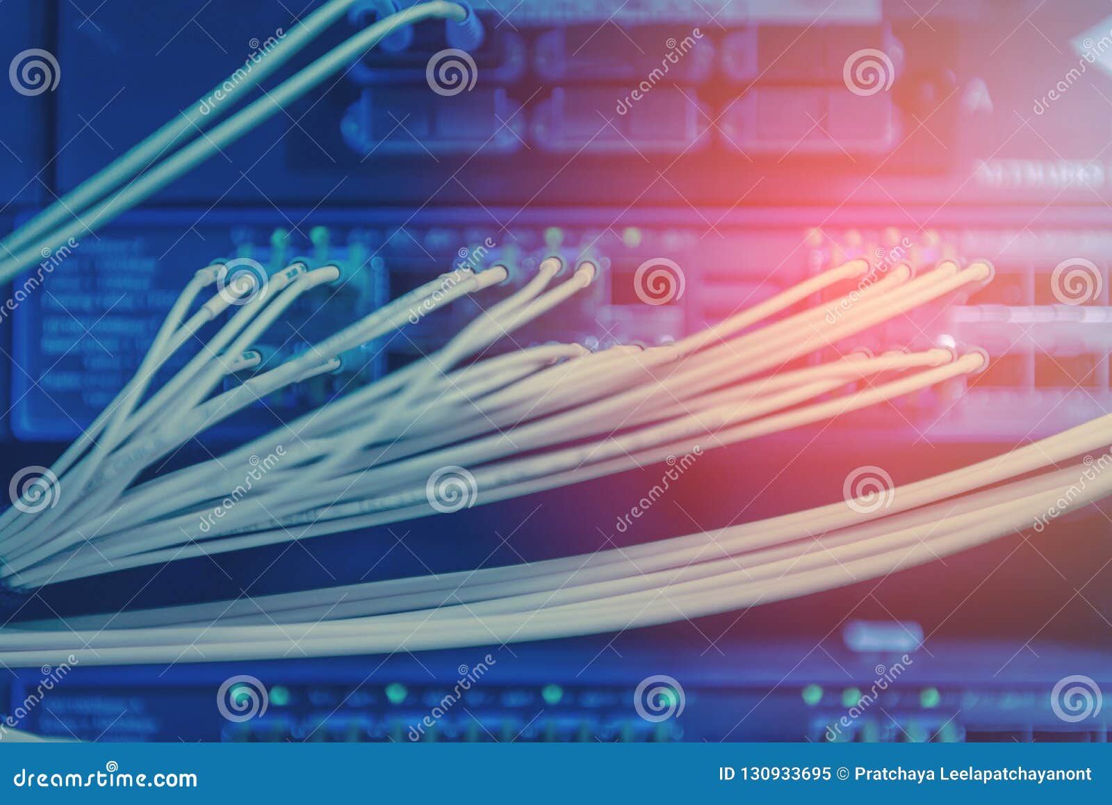 Information Technology Computer Network. Network Switch and Ethernet ...