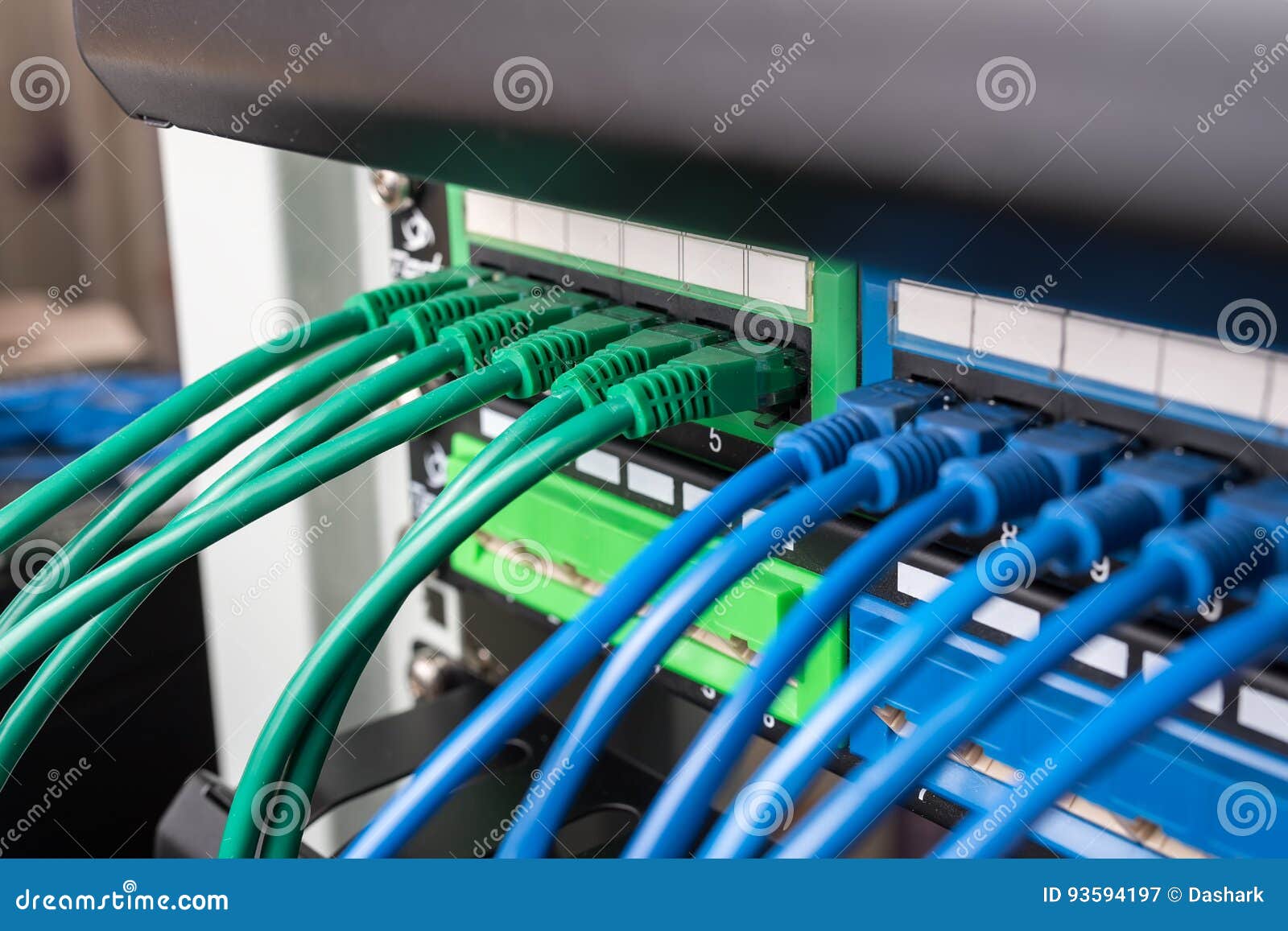 Network Switch and Ethernet Cables Stock Image - Image of detail ... Network Switch and Ethernet Cables Stock Image - Image of detail ...