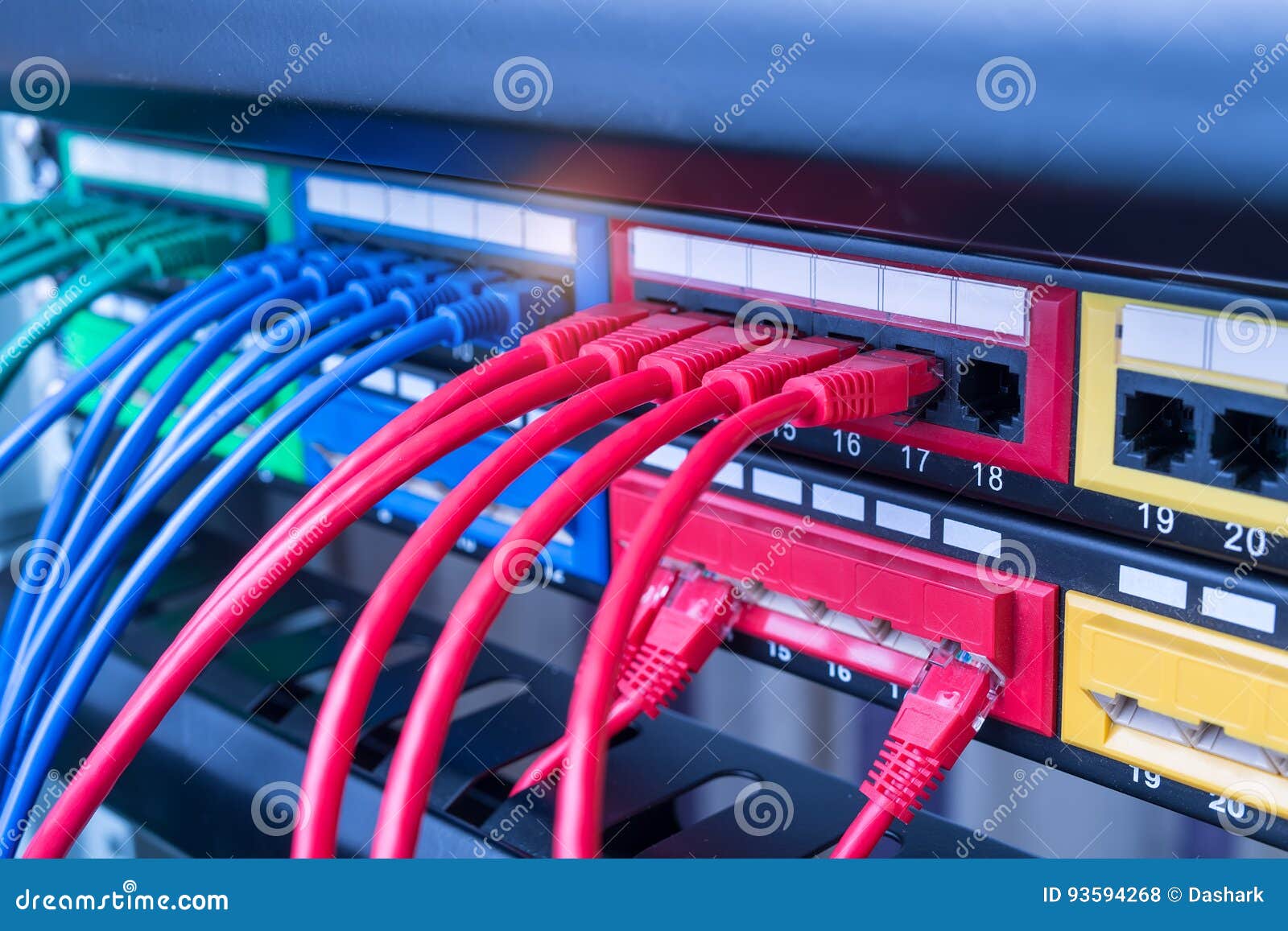 Network Switch and Ethernet Cables Stock Photo - Image of network, data ...