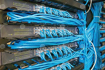 Network Switch and Ethernet Cables Stock Photo - Image of connection ...