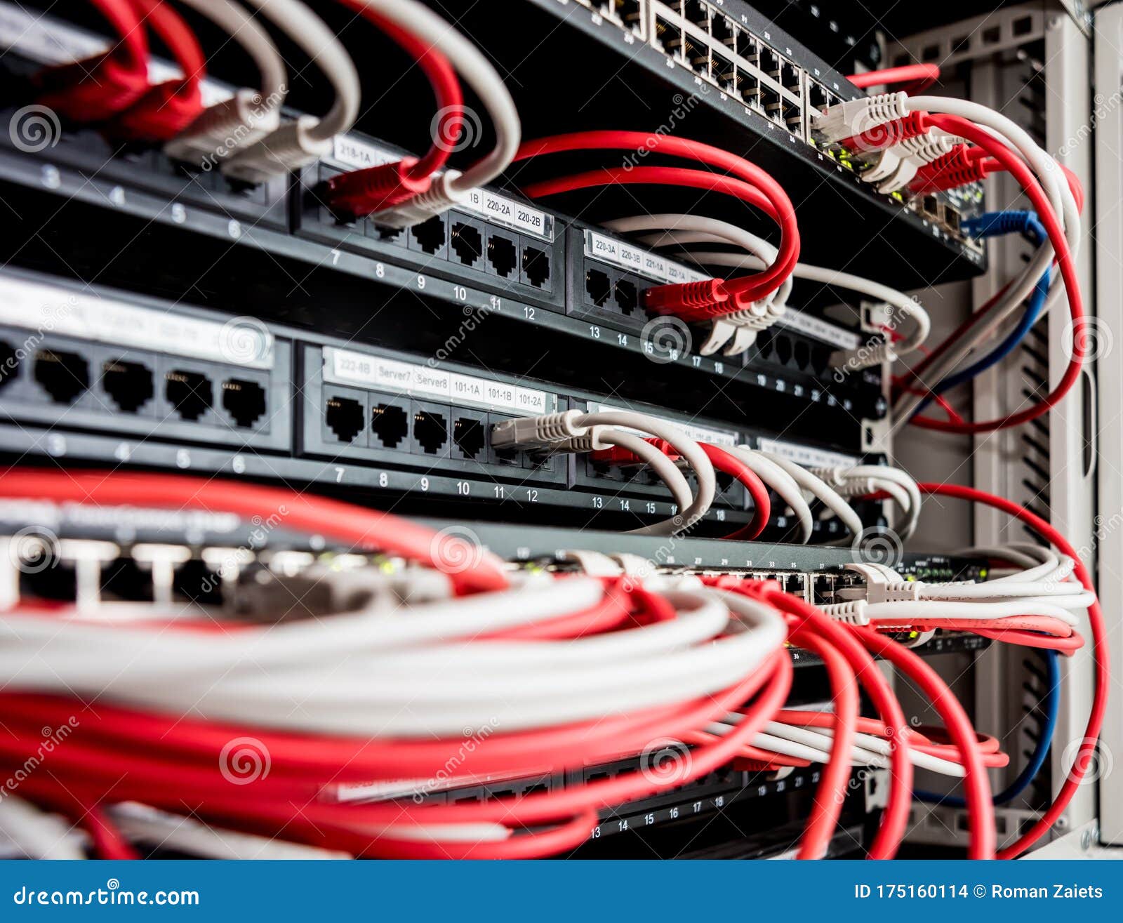 Network Switch and Ethernet Cables in Red and White Colors. Data Center ...