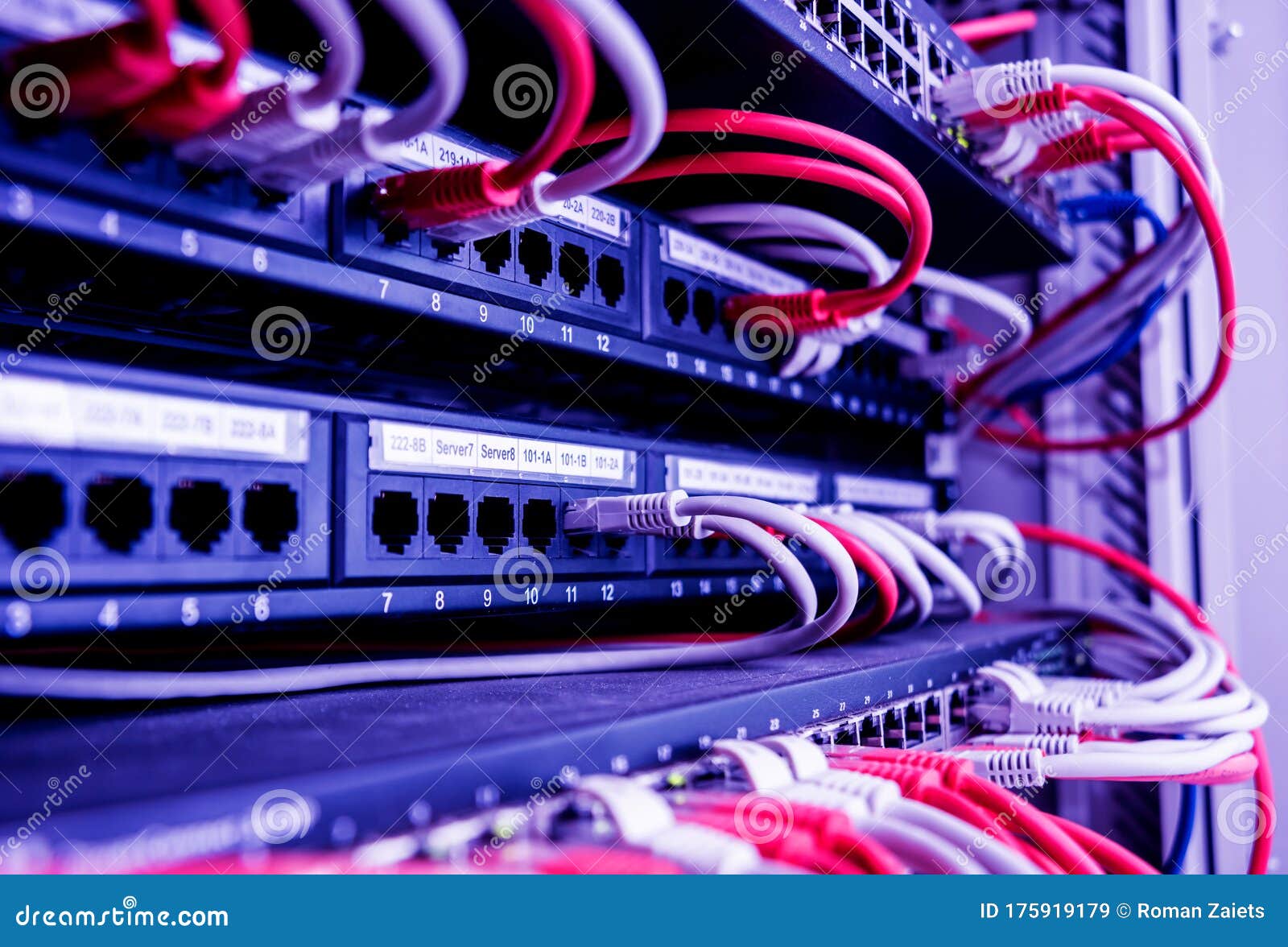 Network Switch and Ethernet Cables in Red and White Colors. Data Center ...