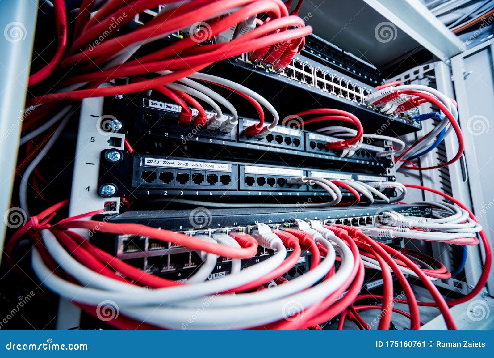 Network Switch and Ethernet Cables in Red and White Colors. Data Center ...