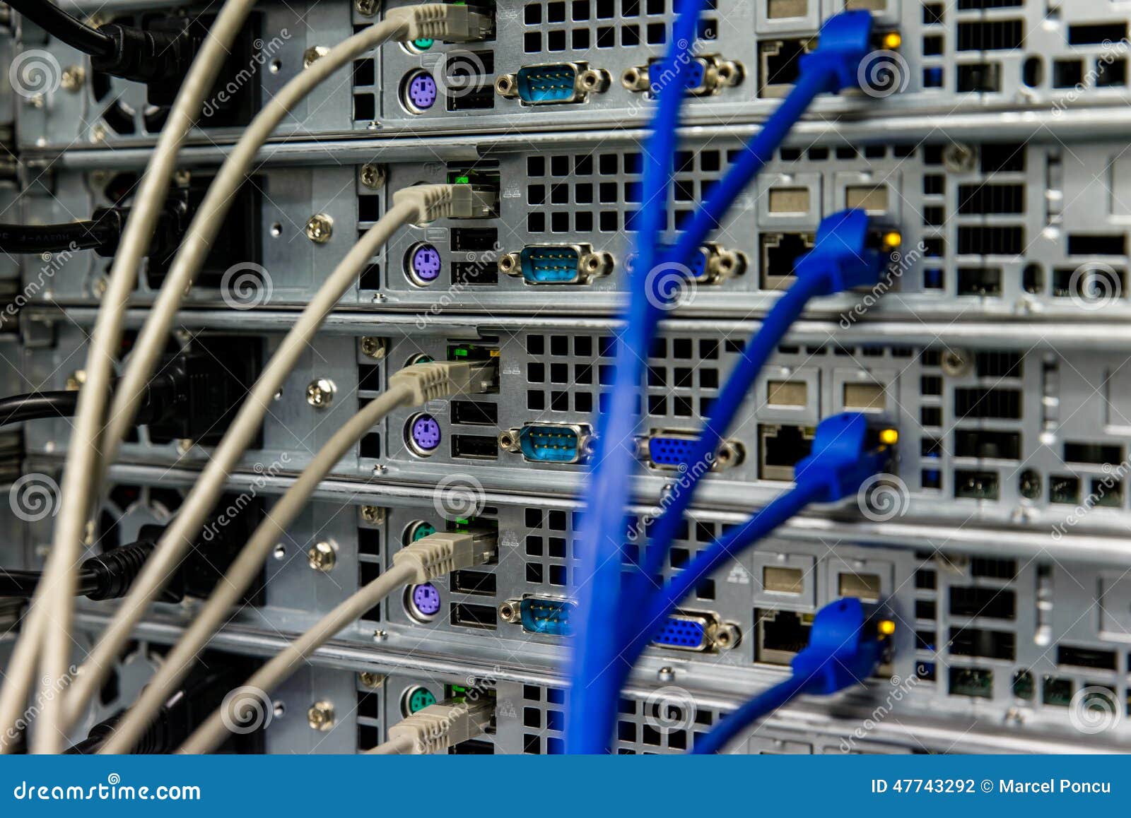 Network Switch and Ethernet Cables Stock Photo - Image of computer ...