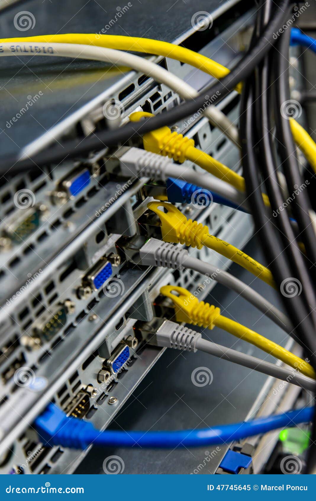 Network Switch and Ethernet Cables Stock Image - Image of network ...