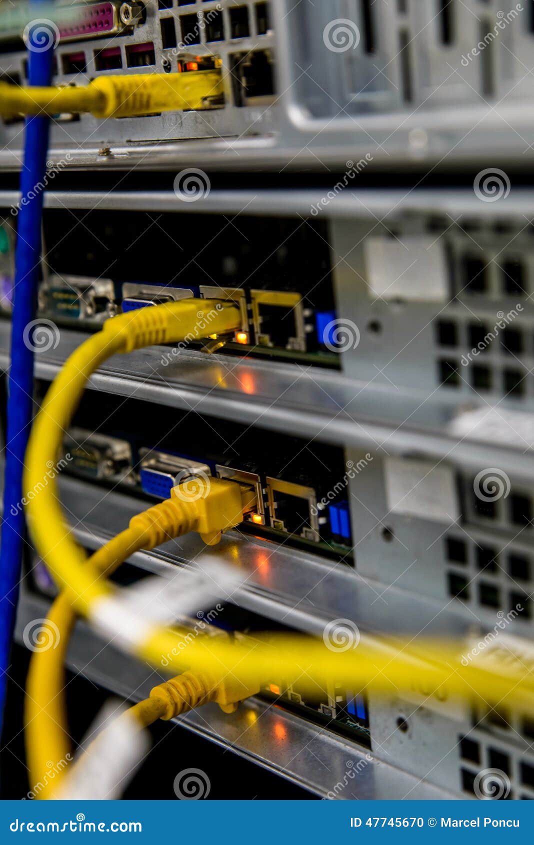 Network Switch and Ethernet Cables Stock Photo - Image of connector ...