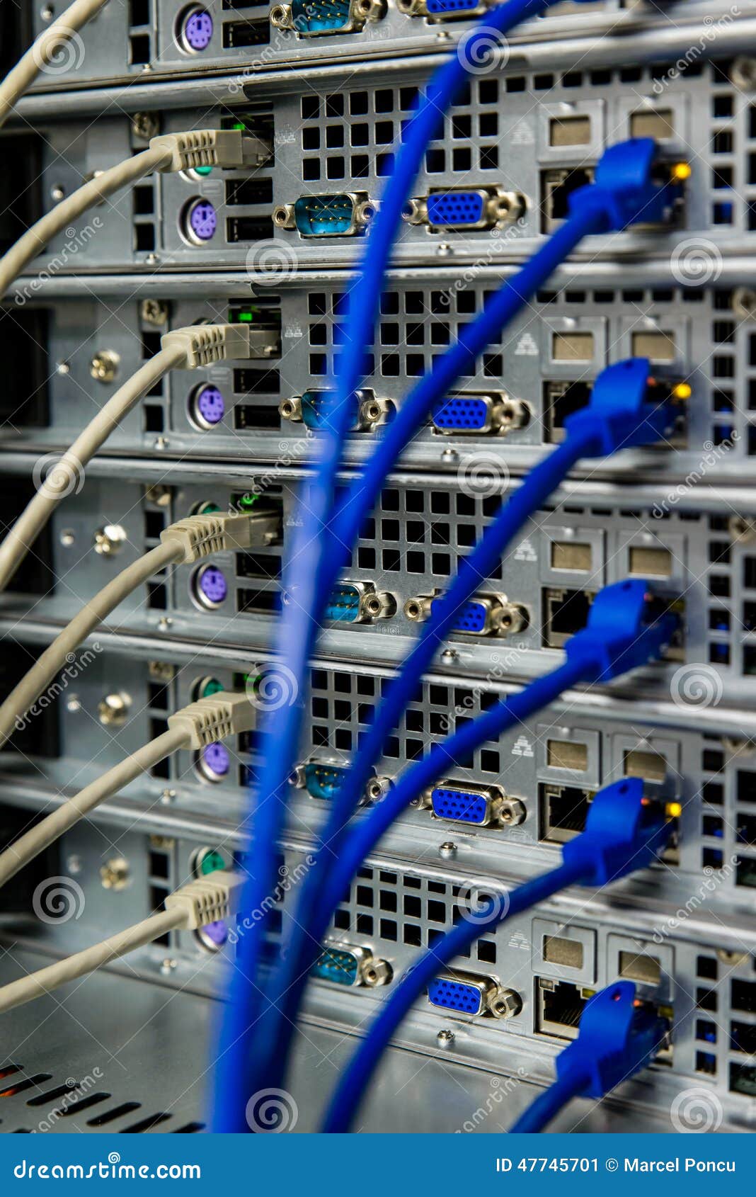 Network Switch and Ethernet Cables Stock Image - Image of connect ...