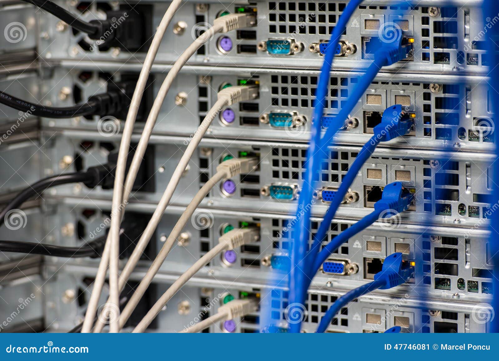 Network Switch and Ethernet Cables Stock Image - Image of interface ...