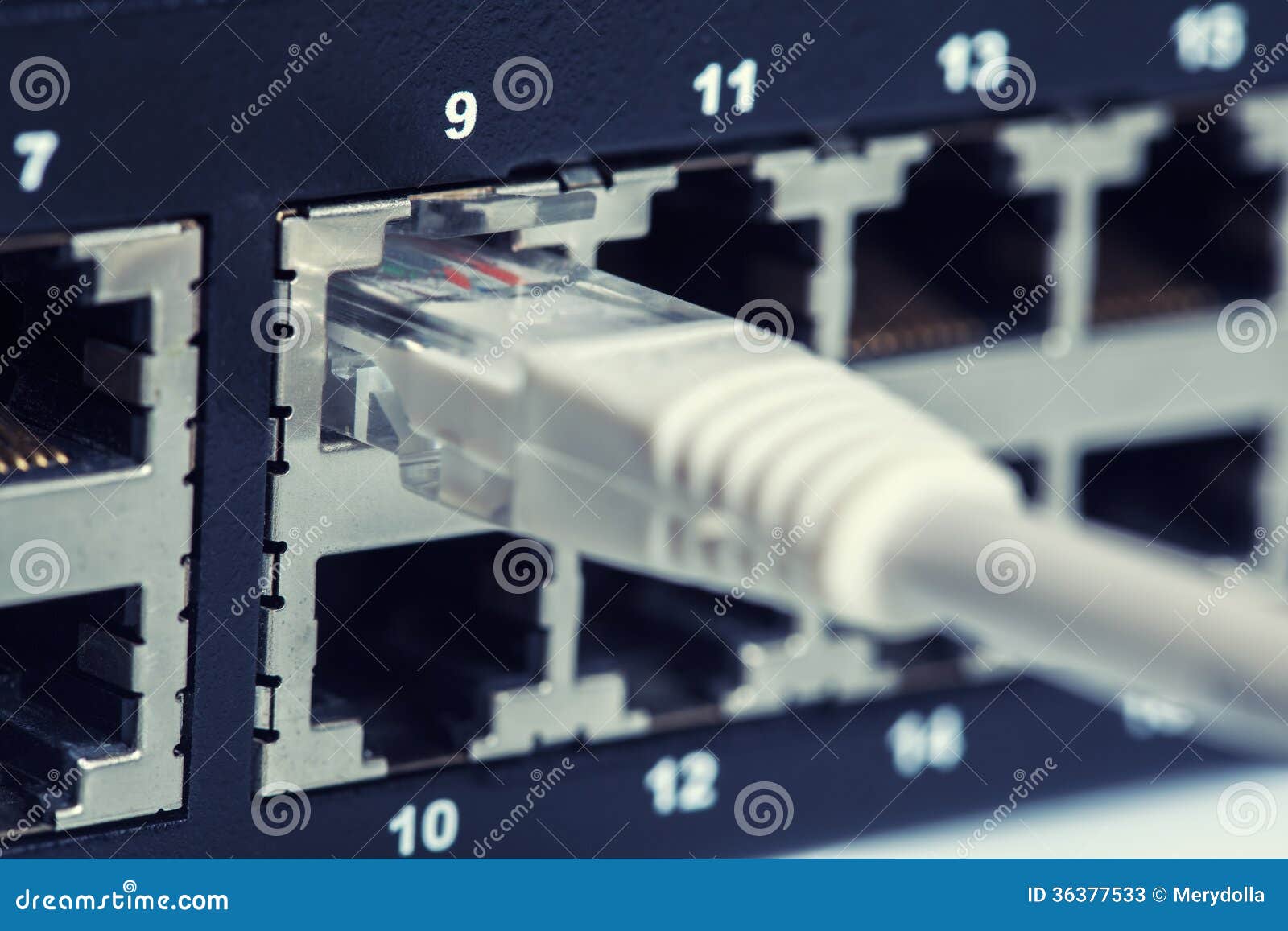 Network Switch and UTP Ethernet Cables Stock Image - Image of computer ...