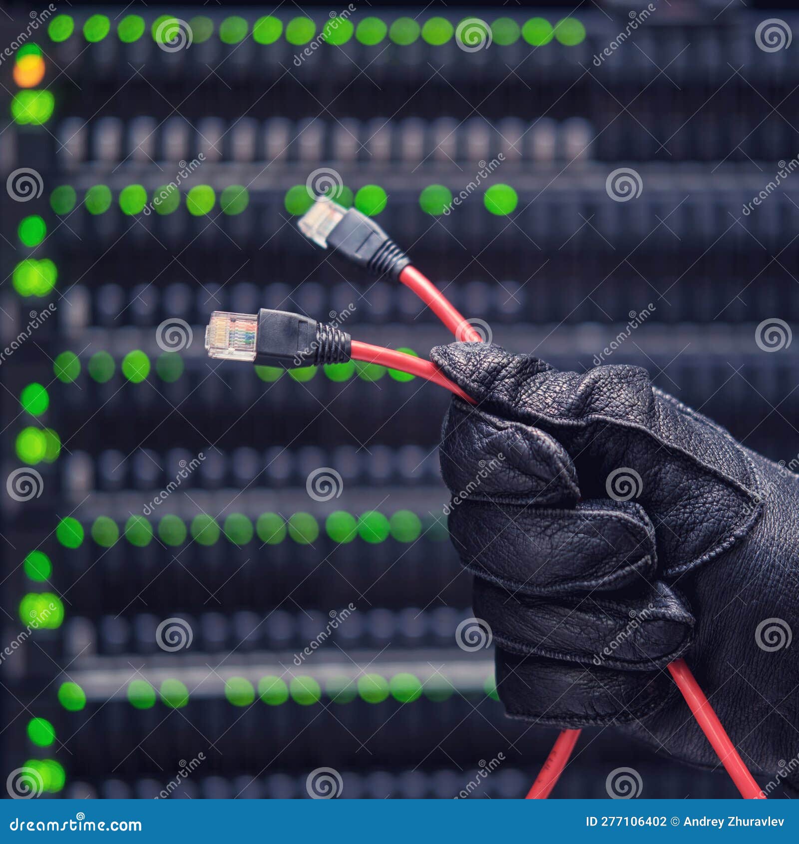 Network Wires in the Hands of a Man at the Server for Data Storage ...