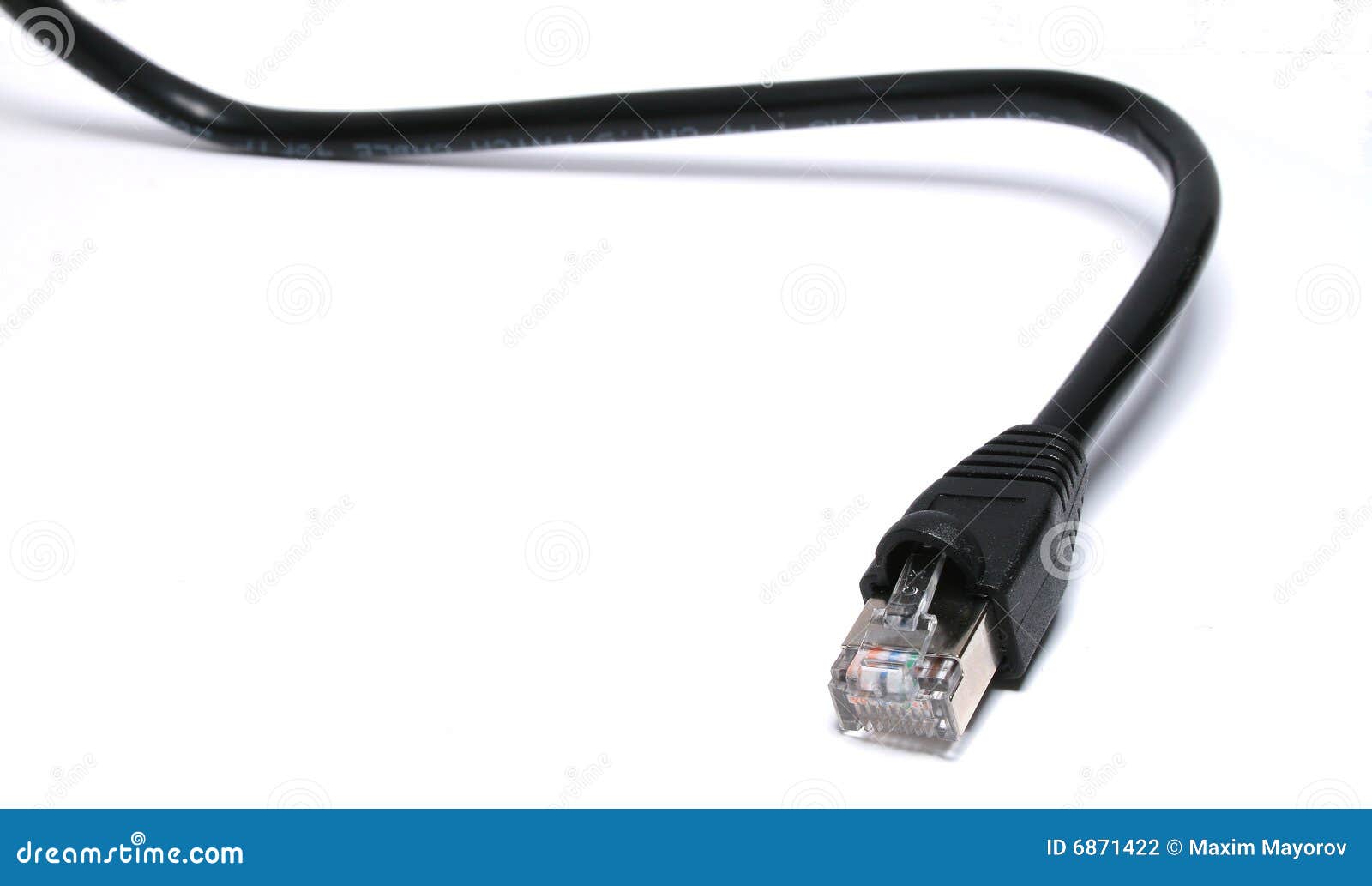 Networking cable stock photo. Image of internet, socket - 6871422