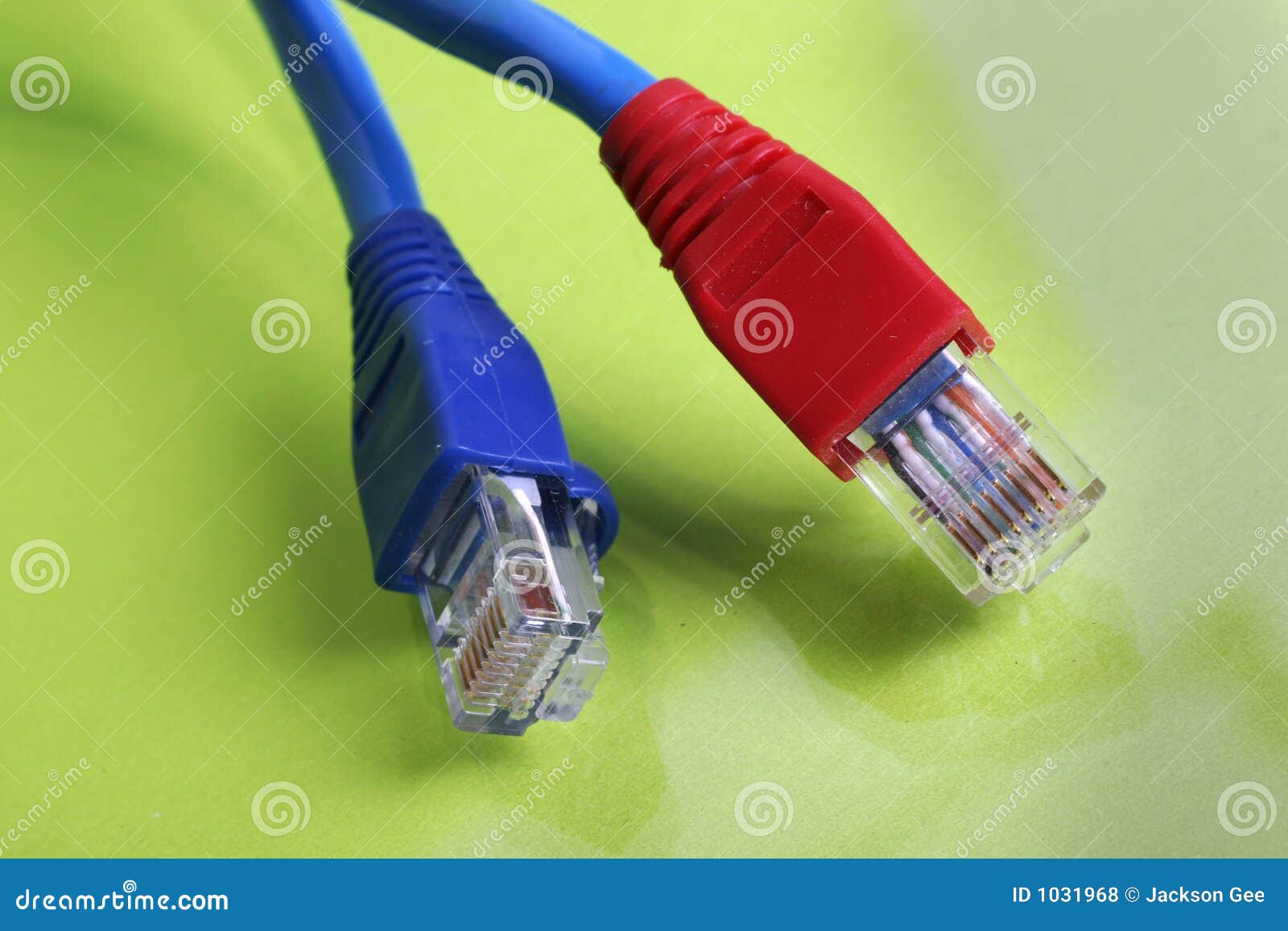 Networking Cable Red and Blue Stock Photo - Image of adsl, device: 1031968