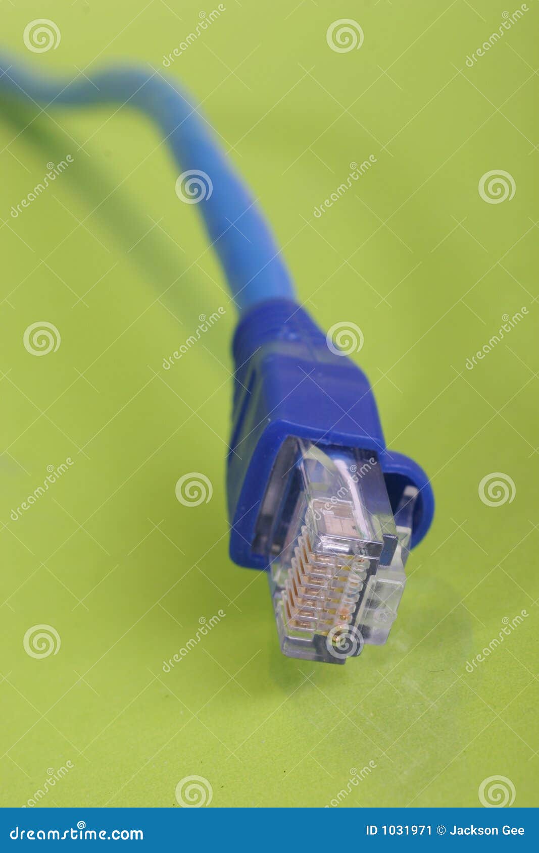 Networking Cable Red and Blue Stock Image - Image of hardware, bandwith ...