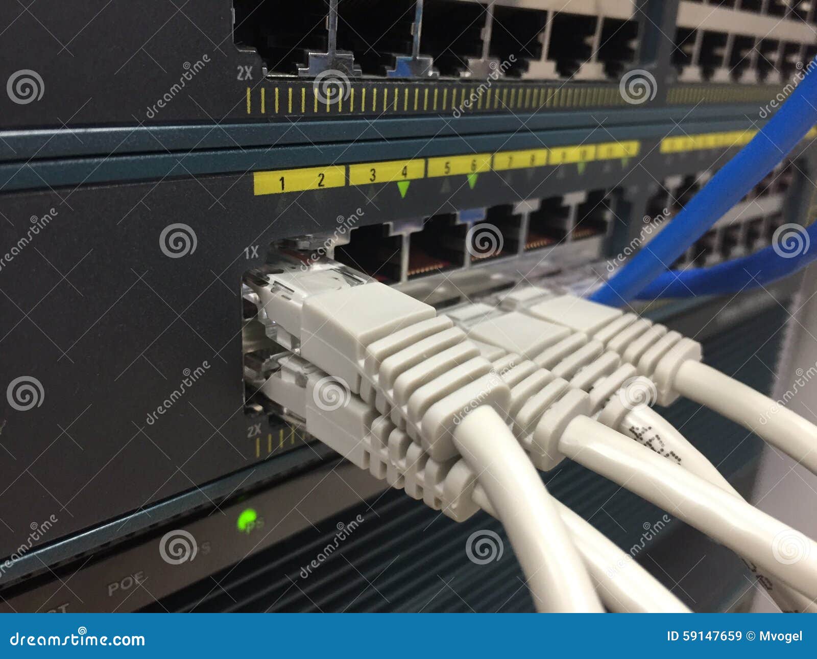 Networking stock image. Image of cat5, cat6, network - 59147659