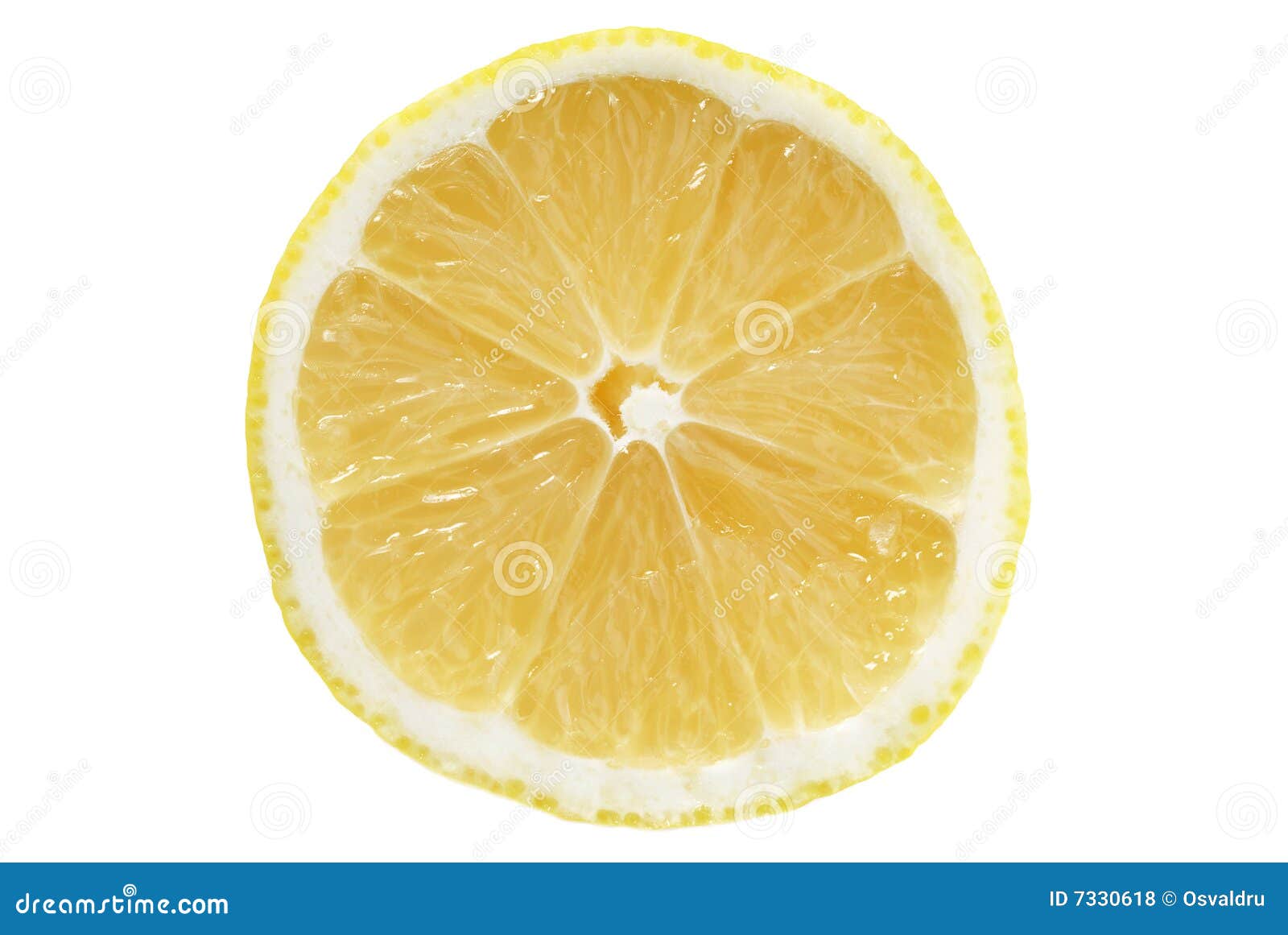 Neue Scheibe der Zitrone stockfoto. Bild von reif, frucht - 7330618