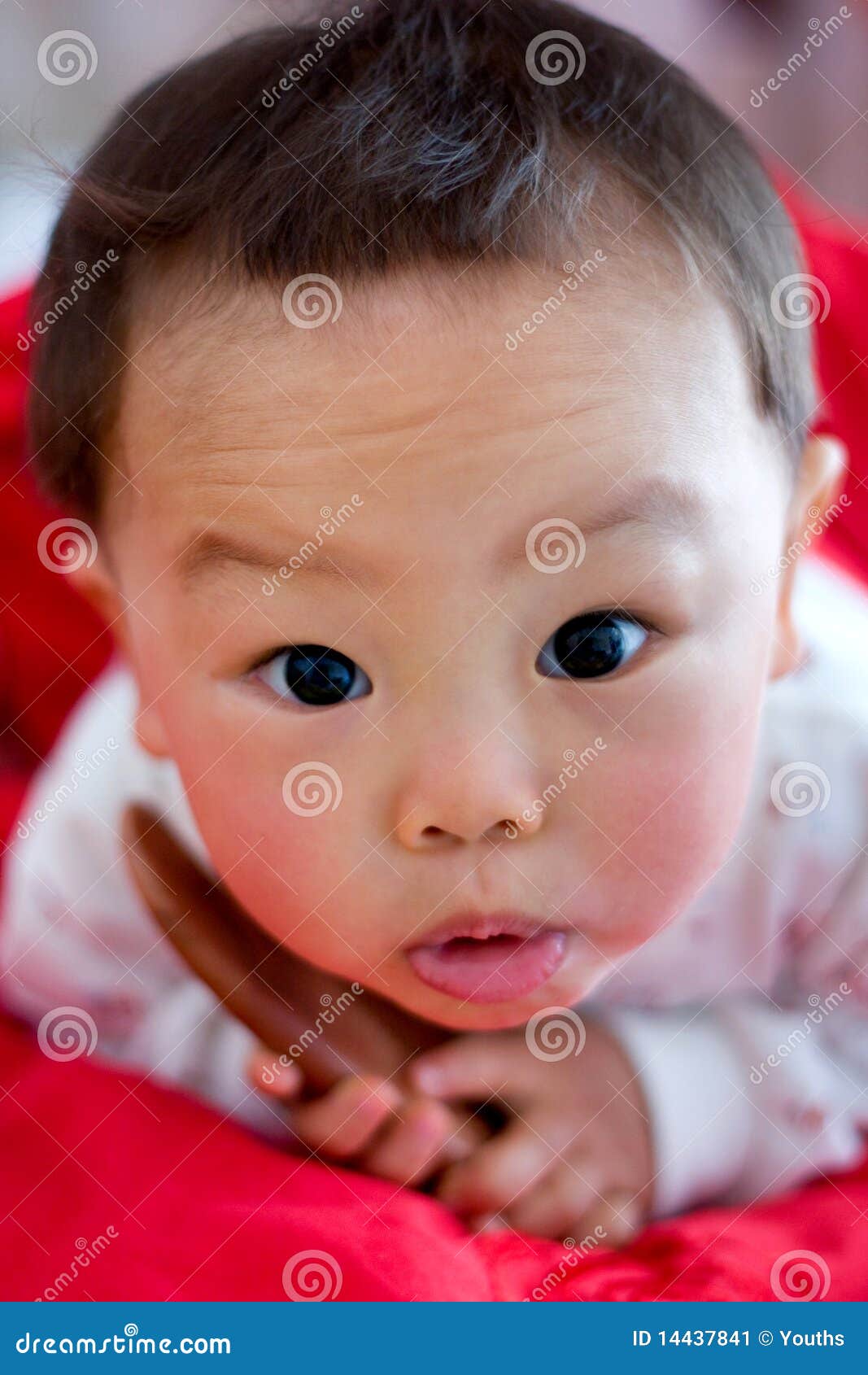 Neugieriges Baby stockbild. Bild von entzückend, gescheit - 14437841