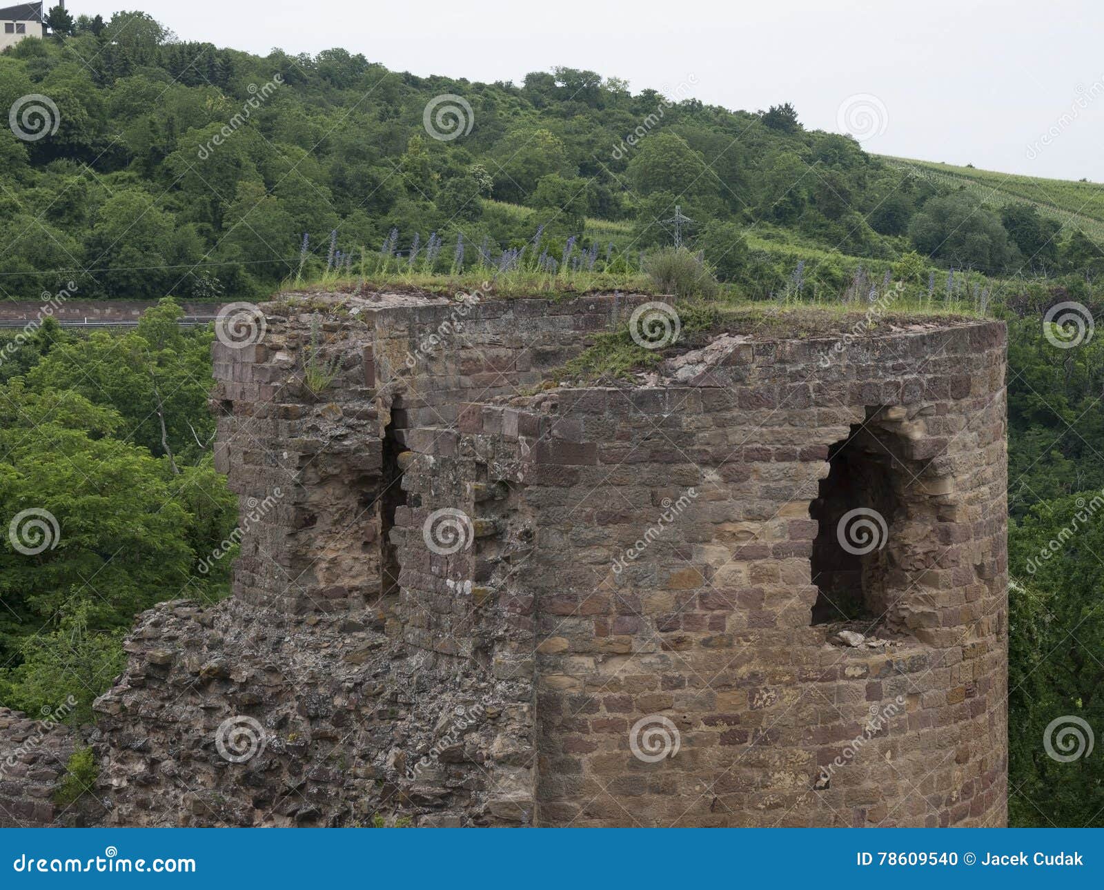 Neuleiningen,Germany stock photo. Image of escarpment - 78609540
