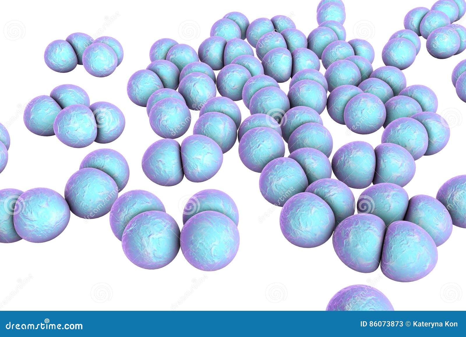 Neumococos De Las Bacterias, Estreptococo Pneumoniae Stock de ...