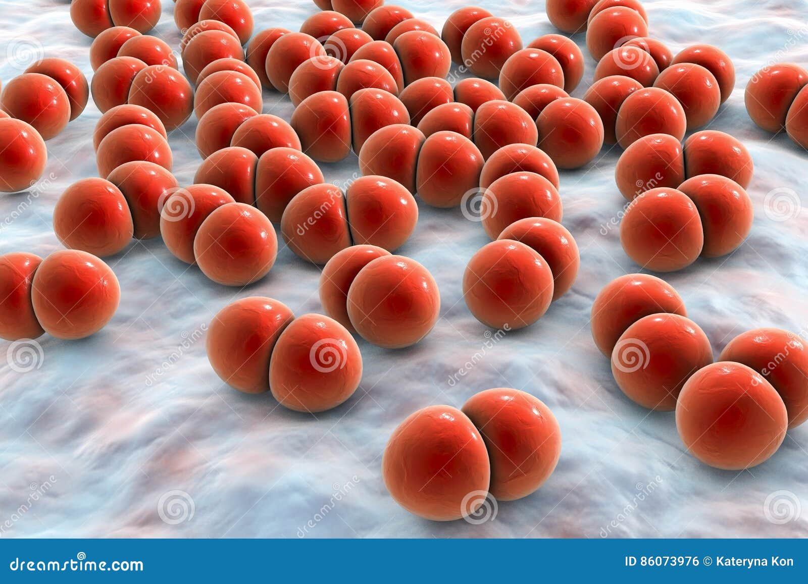 Neumococos De Las Bacterias, Estreptococo Pneumoniae Stock de ...