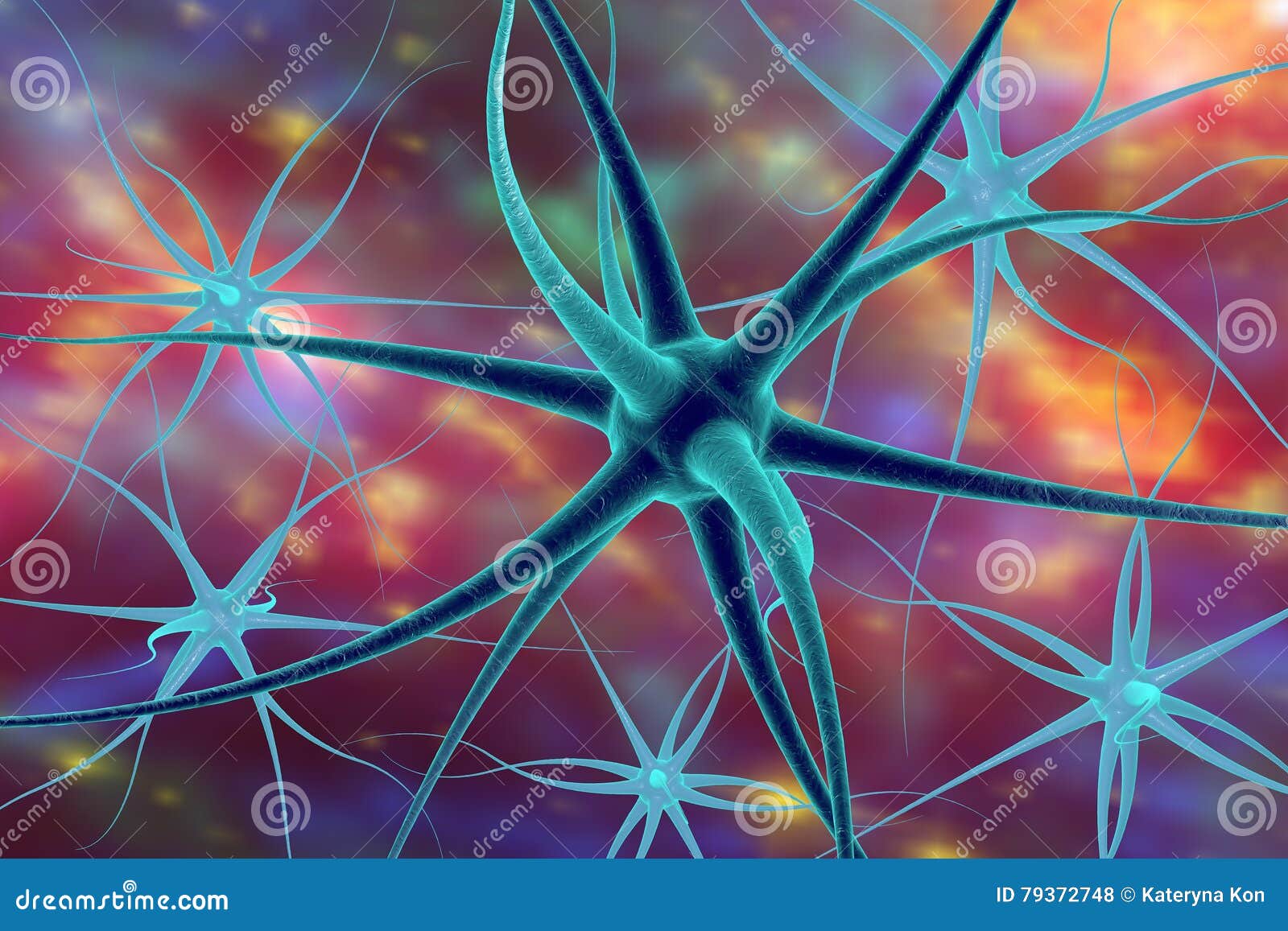 Neurônio, neurônio ilustração stock. Ilustração de medicina - 79372748