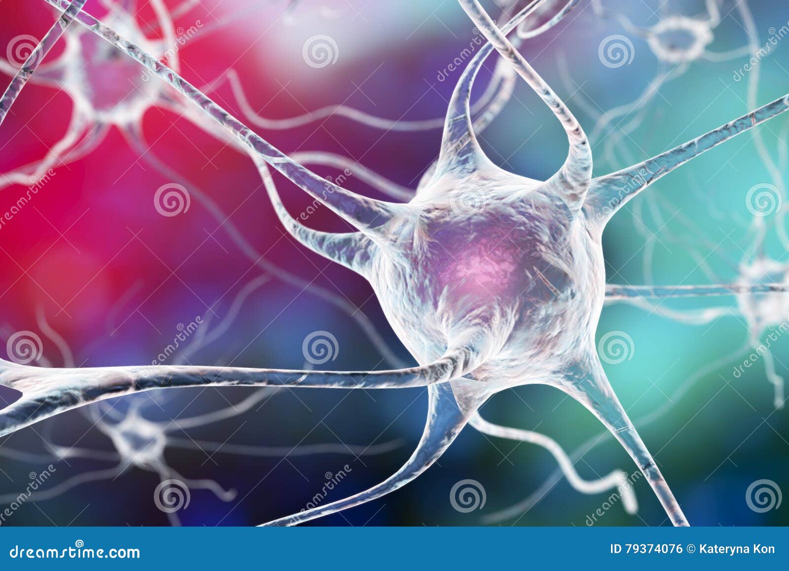 Neurônio, neurônio ilustração stock. Ilustração de médico - 79374076