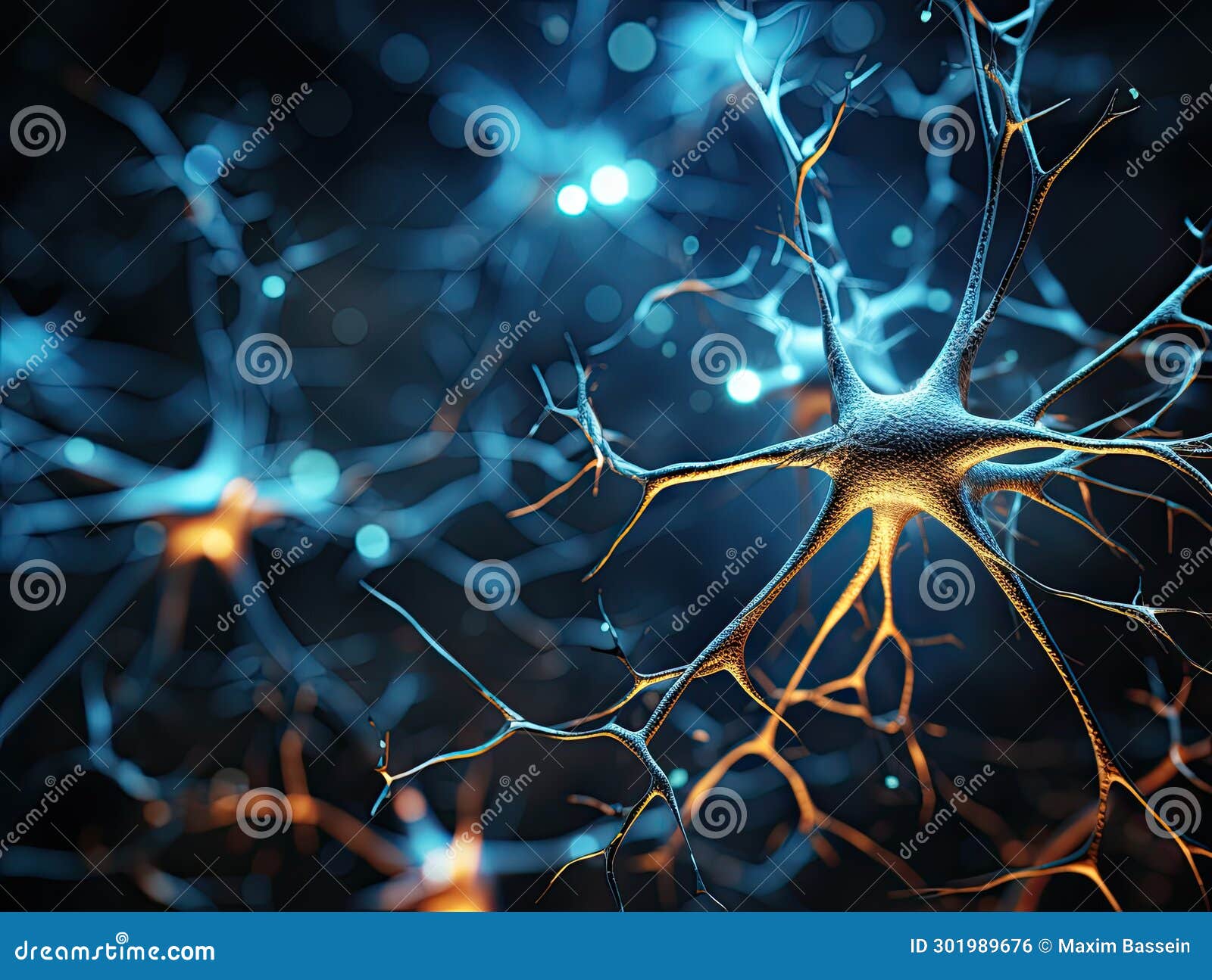 Neural Cells Under the Microscope Neuroscience the Science of ...